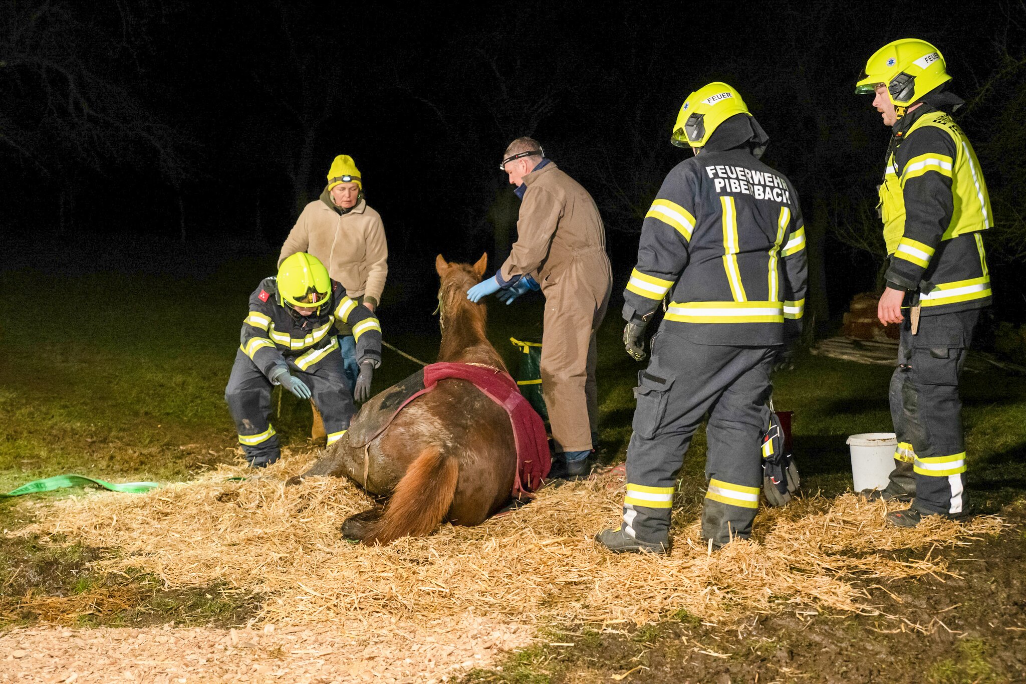 Großtierrettung Piberbach: Feuerwehr und Tierarzt retteten Pferd in Not ...