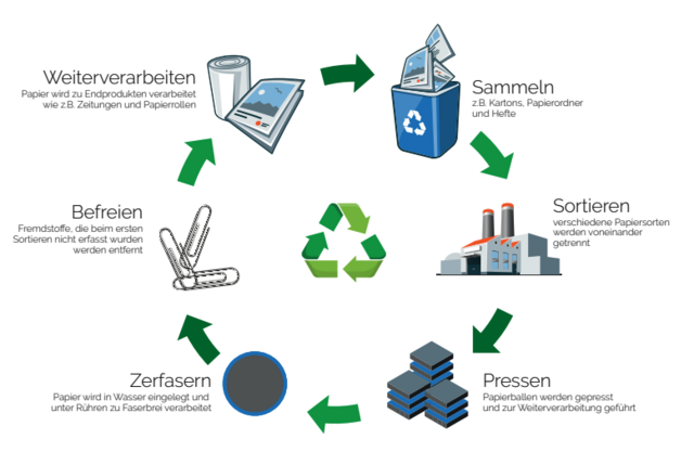 Mülltrennung erklärt: So sieht der Kreislauf von Altpapier aus - Murau