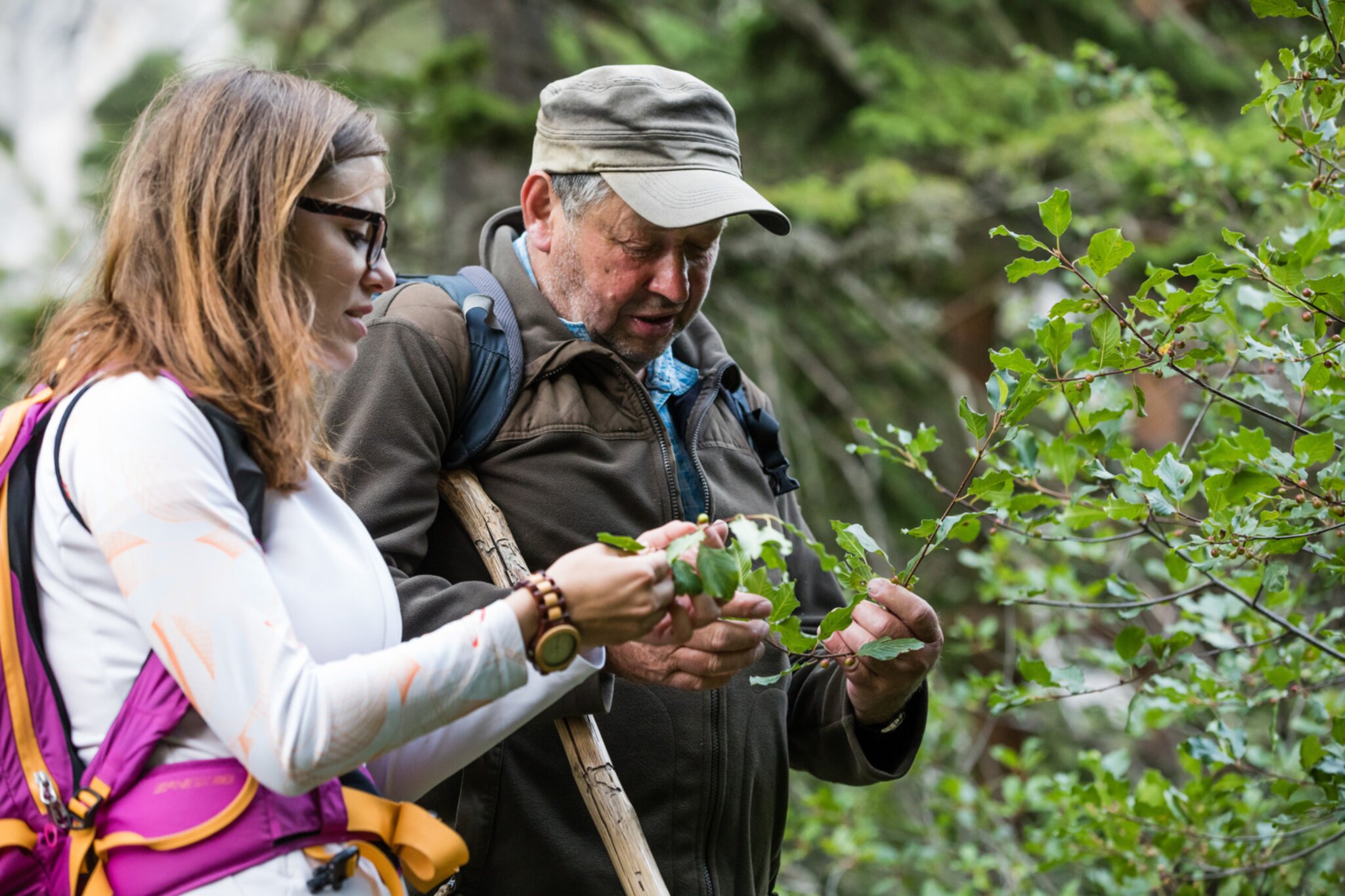 Das Mostviertel: Sanfte Hügel, Imposante Gipfel & idyllische Flusstäler ...