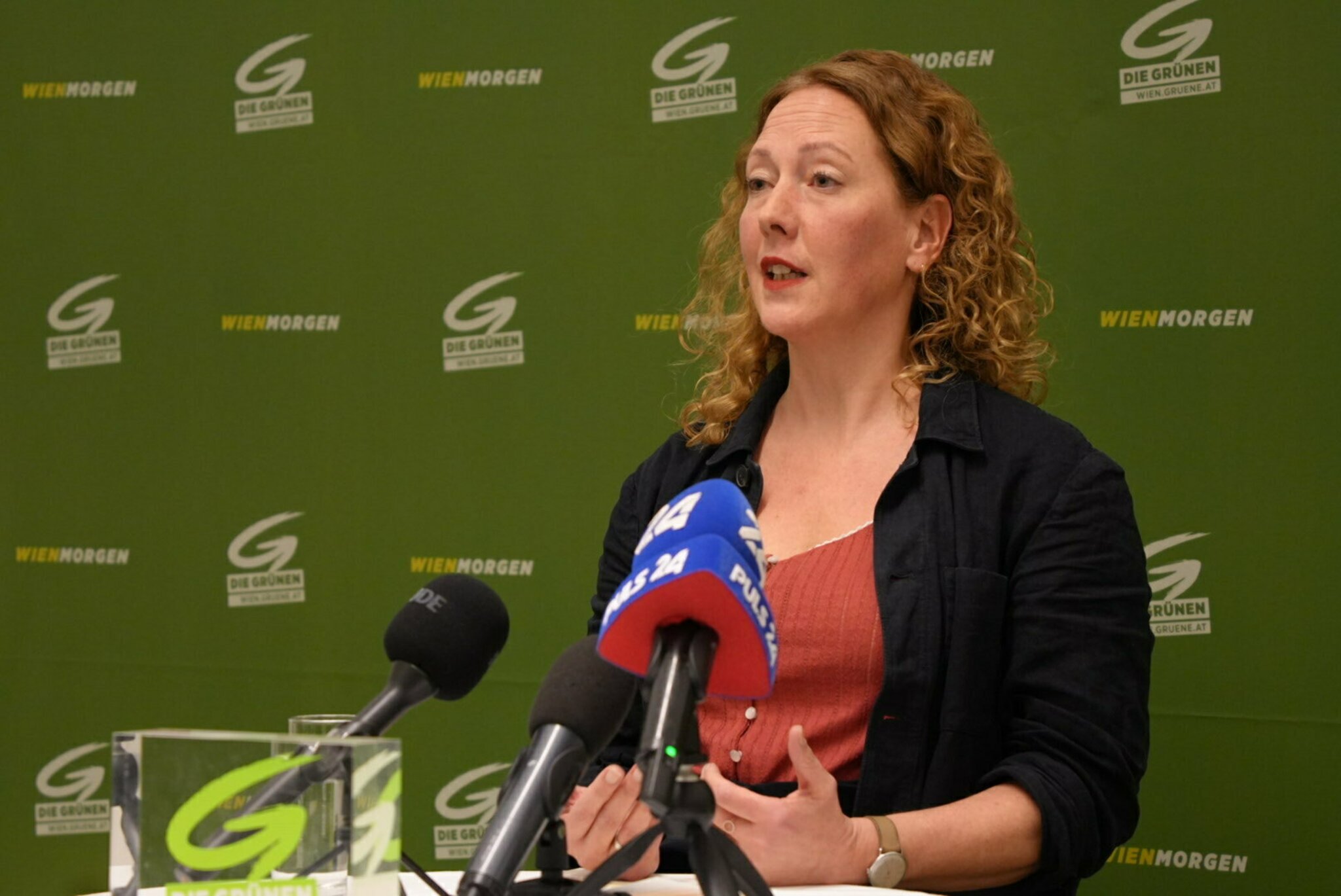 Gesundheitsbereich: Wiener Grüne fordern "Behandlungsgarantie" - Wien