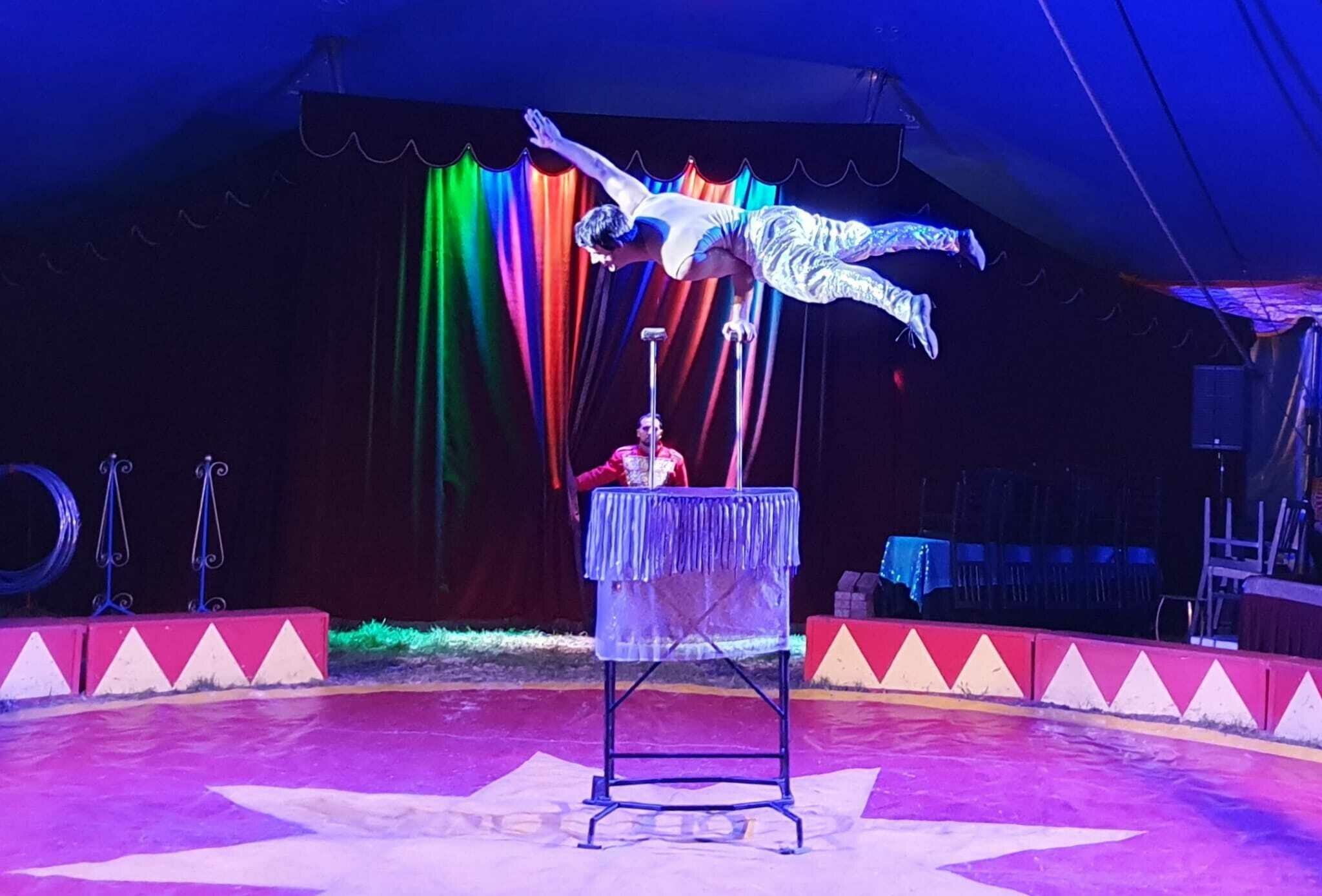 Spektakuläre Shows: Circus Althoff kommt zurück nach Ried - Ried