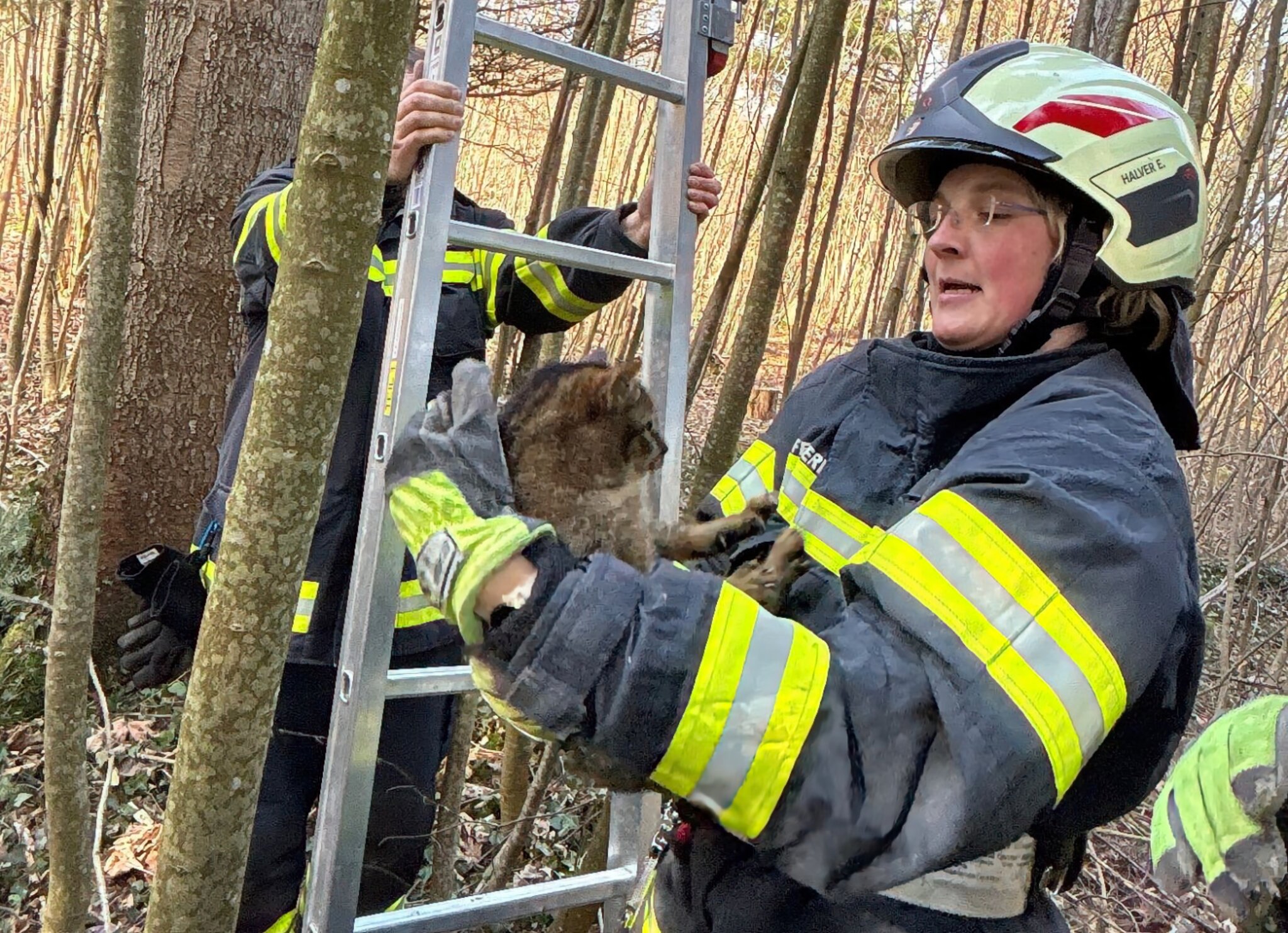 Nur Gutes: Postler rettet Frau, Wanderer stoppt Waldbrand, Katzenrettung