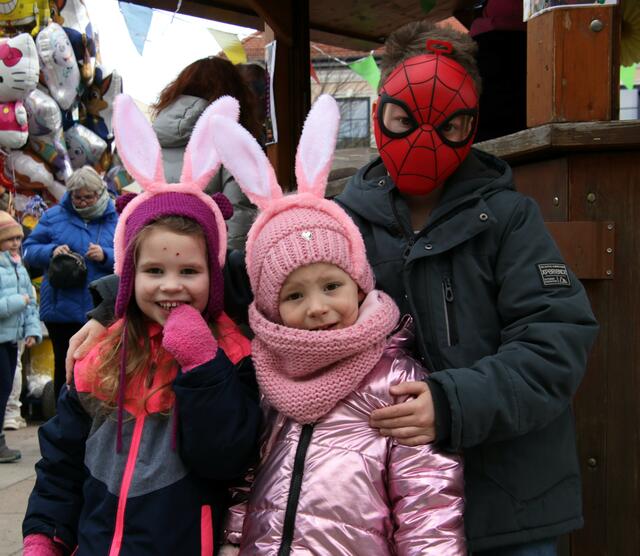 Faschingsumzug 2025 in Tulln: Tulli Tulli die Narren sind wieder los ...