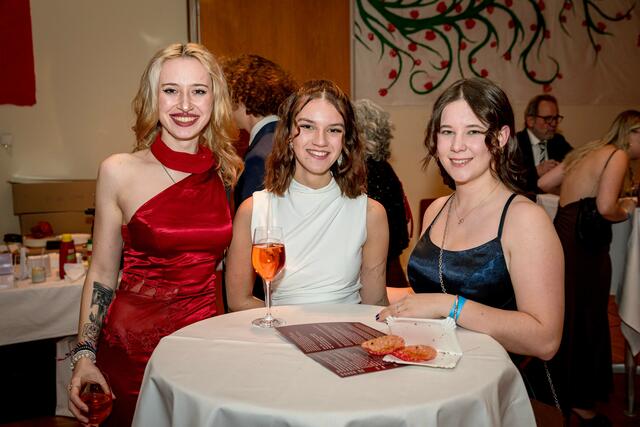 Highlight der Ballsaison: BG/BRG Viktring lud zum Rosenball - Klagenfurt