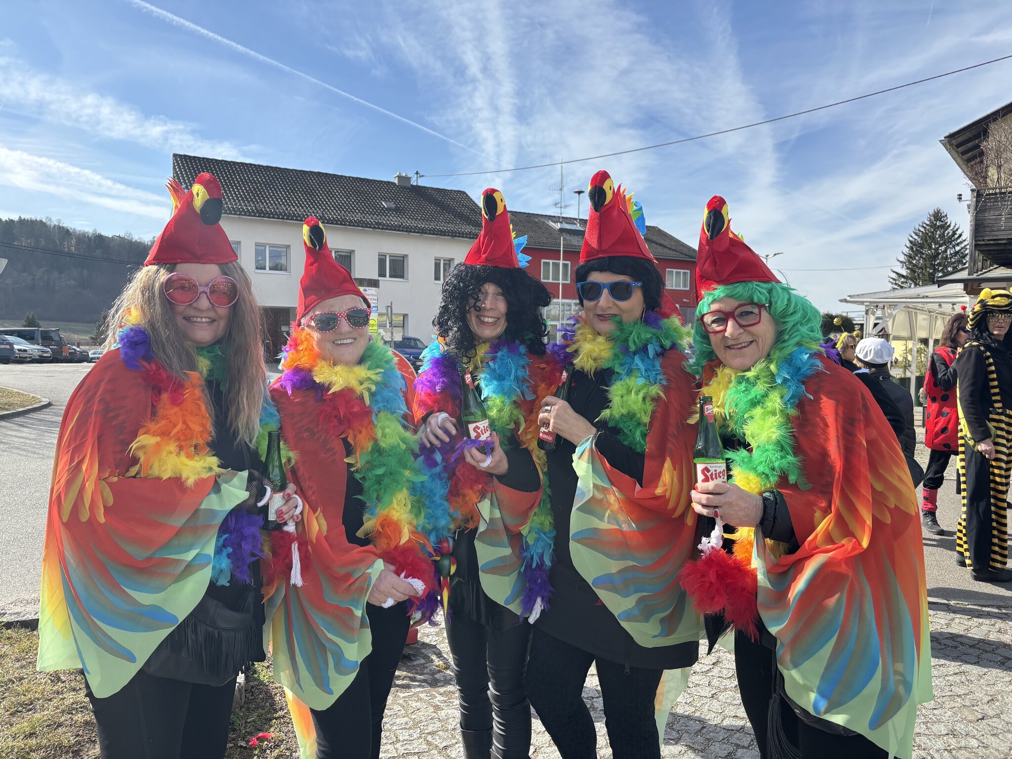 Bildergalerien: Buntes Narrentreiben im Fasching 2025 im Bezirk Perg - Perg