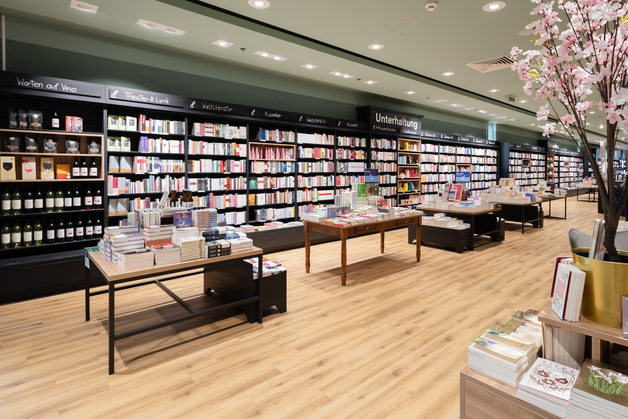 Größte Filiale Österreichs: Thalia Linz nach Umbau: Mehr Bücher, mehr ...