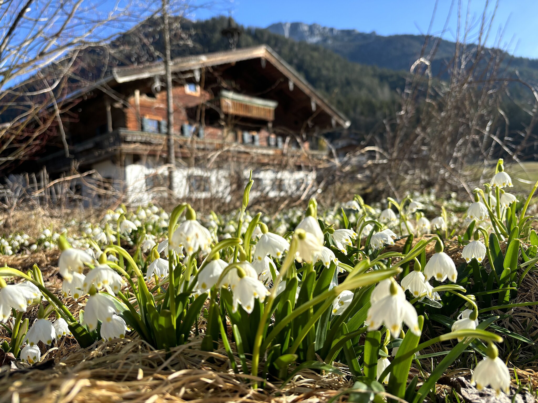 Wetter Tirol: Zum Frühlingsbeginn bis zu 20 Grad möglich - Tirol