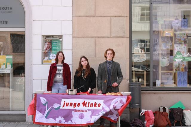 Junge Linke - Thema auf meinbezirk.at