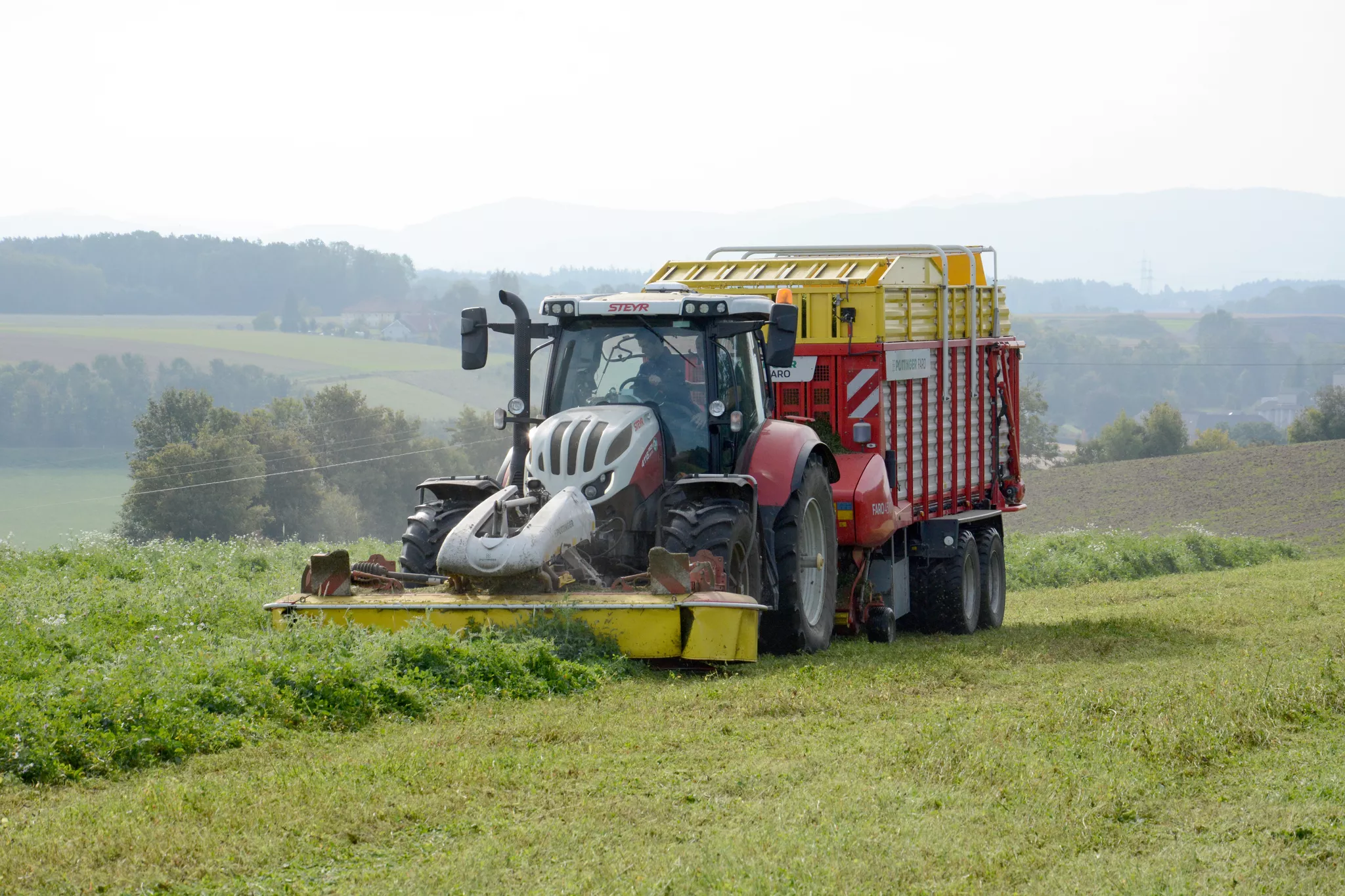Eiweiß aus Hofkirchen: Pilotprojekt will Import-Soja durch Klee und ...