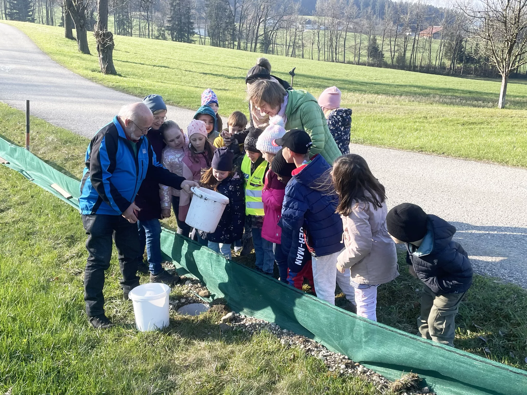 Naturschutzbund OÖ: Erfolgreicher Amphibienschutz in Frankenburg am ...