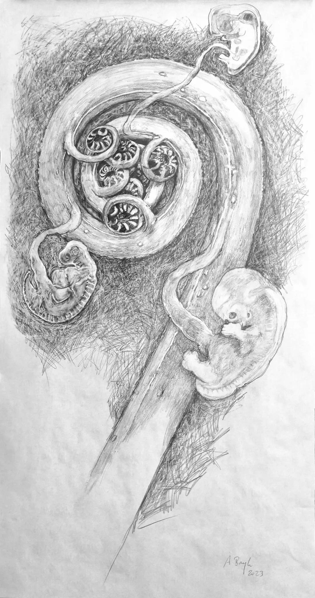 Berchtoldvilla Salzburg: Ich seh´ etwas, was du nicht siehst - Tennengau