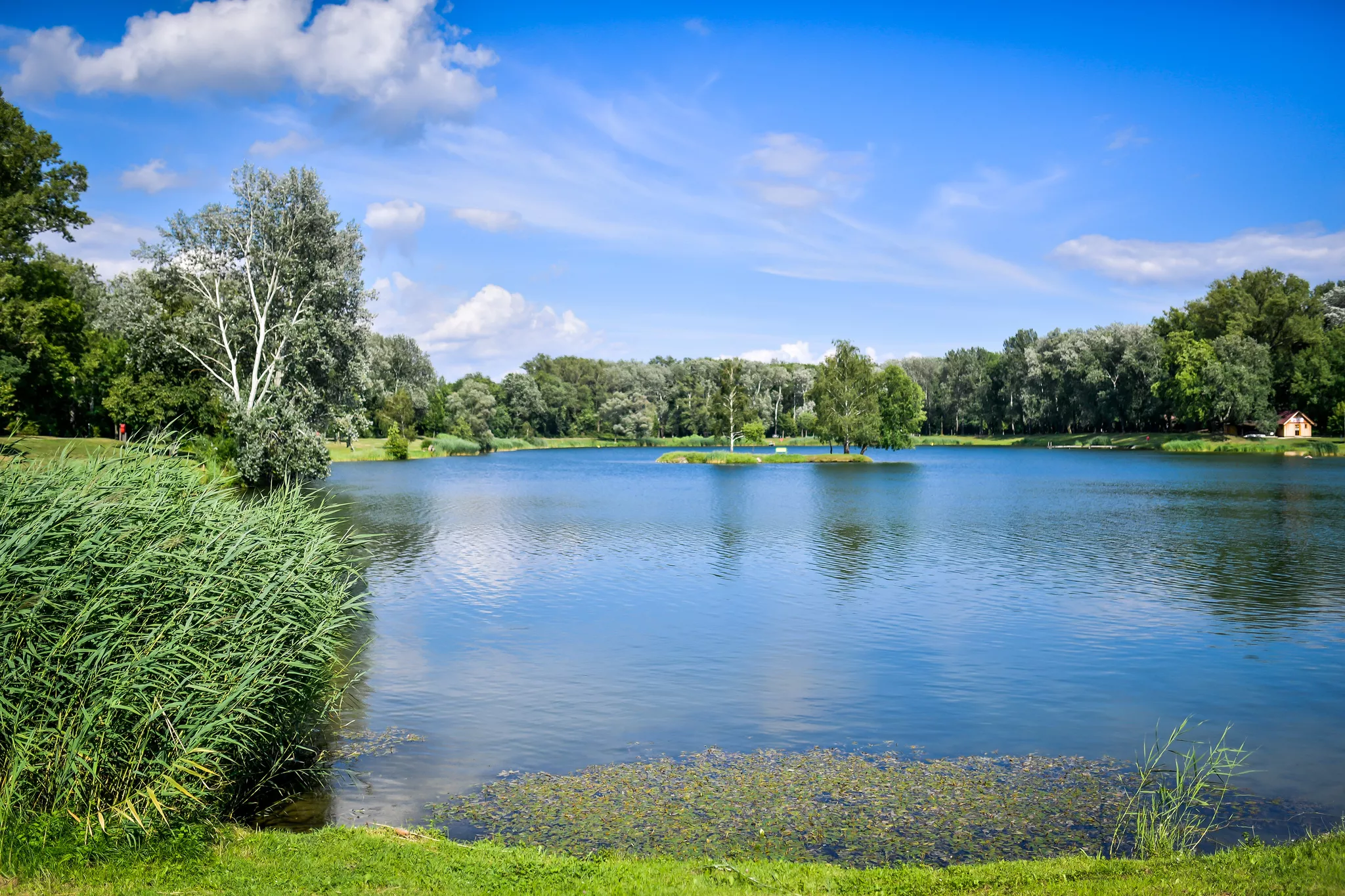 Aubad Tulln: Saisonstart im Naturerlebnisbad ohne Schlamm ...