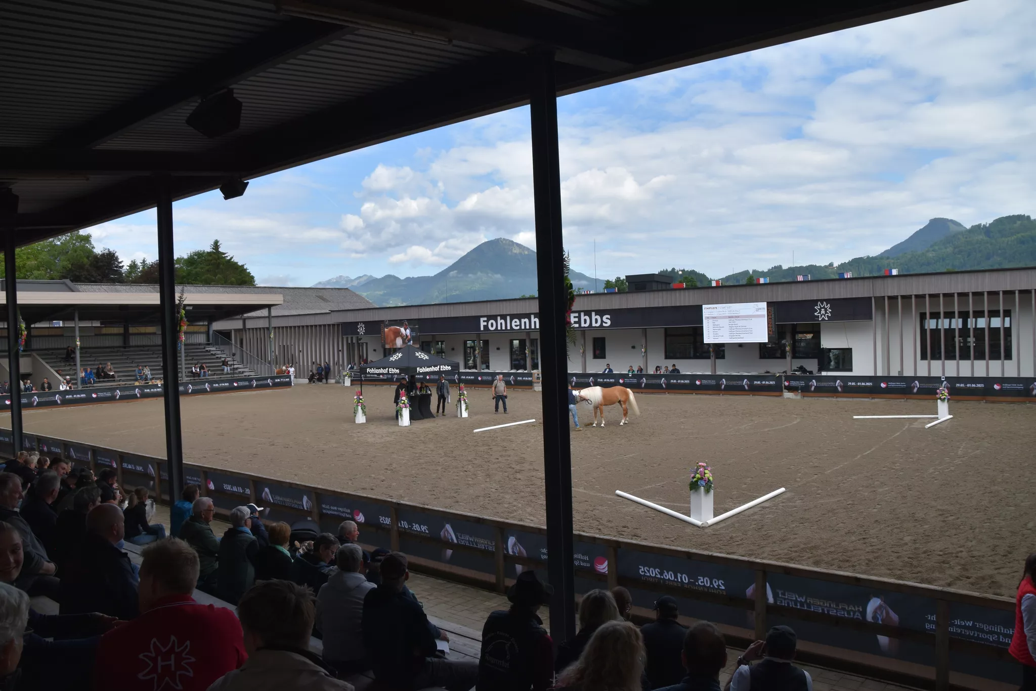 Weltausstellung-Auftakt: Haflinger Pferde erobern Ebbs und die Welt ...