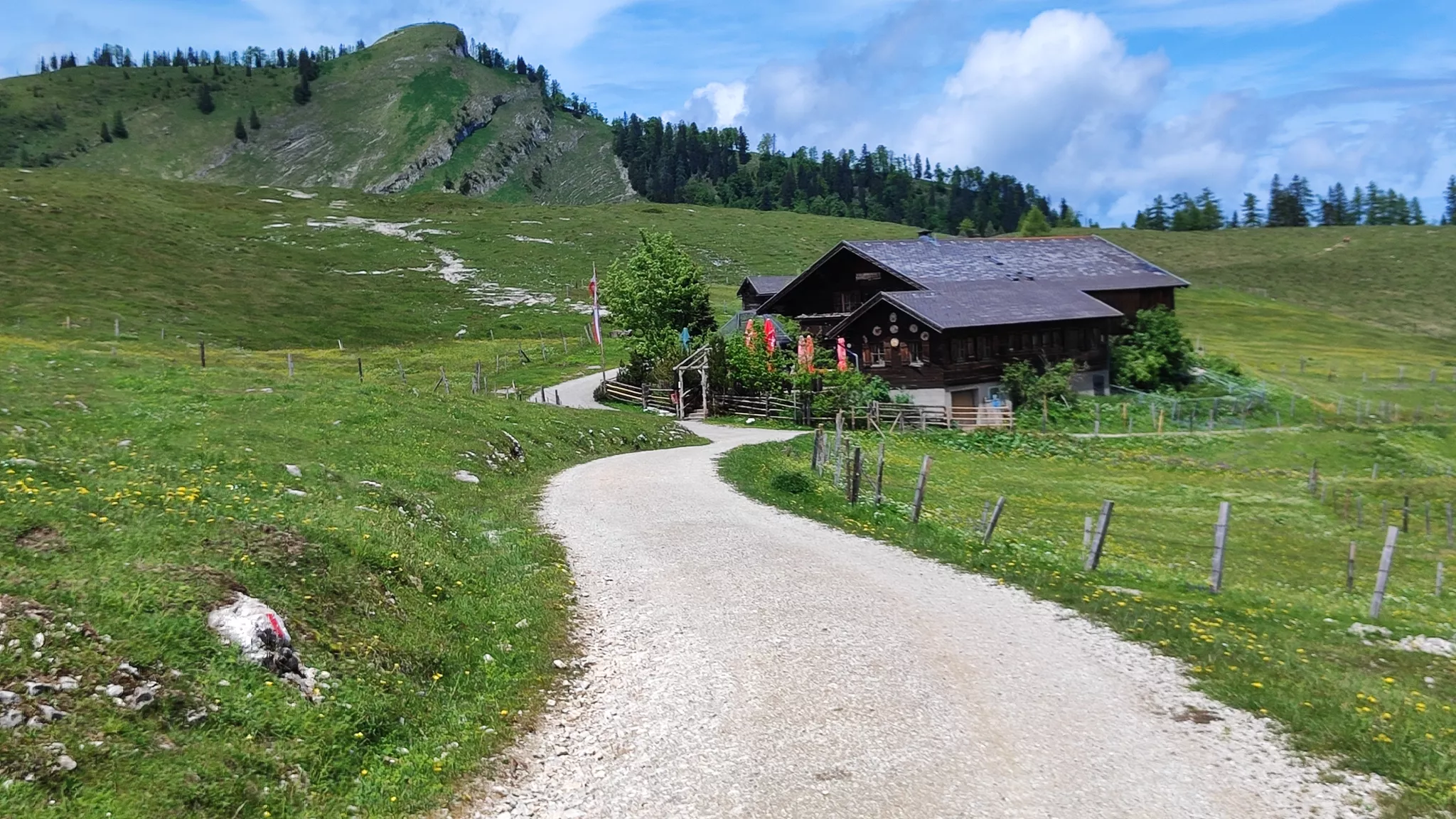Wandern im Salzkammergut: Auf der Postalm beim Wolfgangsee - Salzkammergut