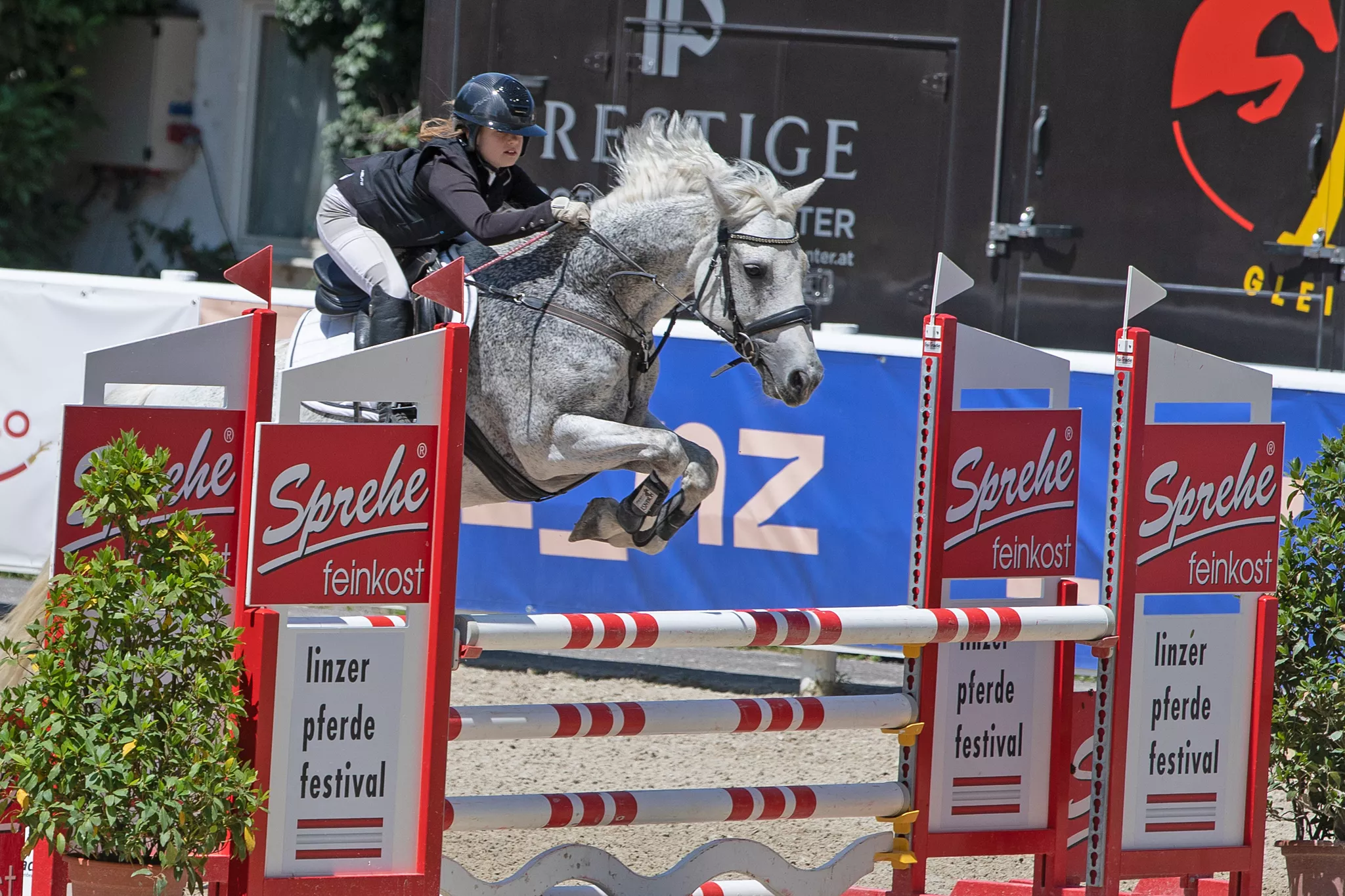 Springreiten: Ida-Vivienne Fischer holt zwei Vizemeistertitel ...