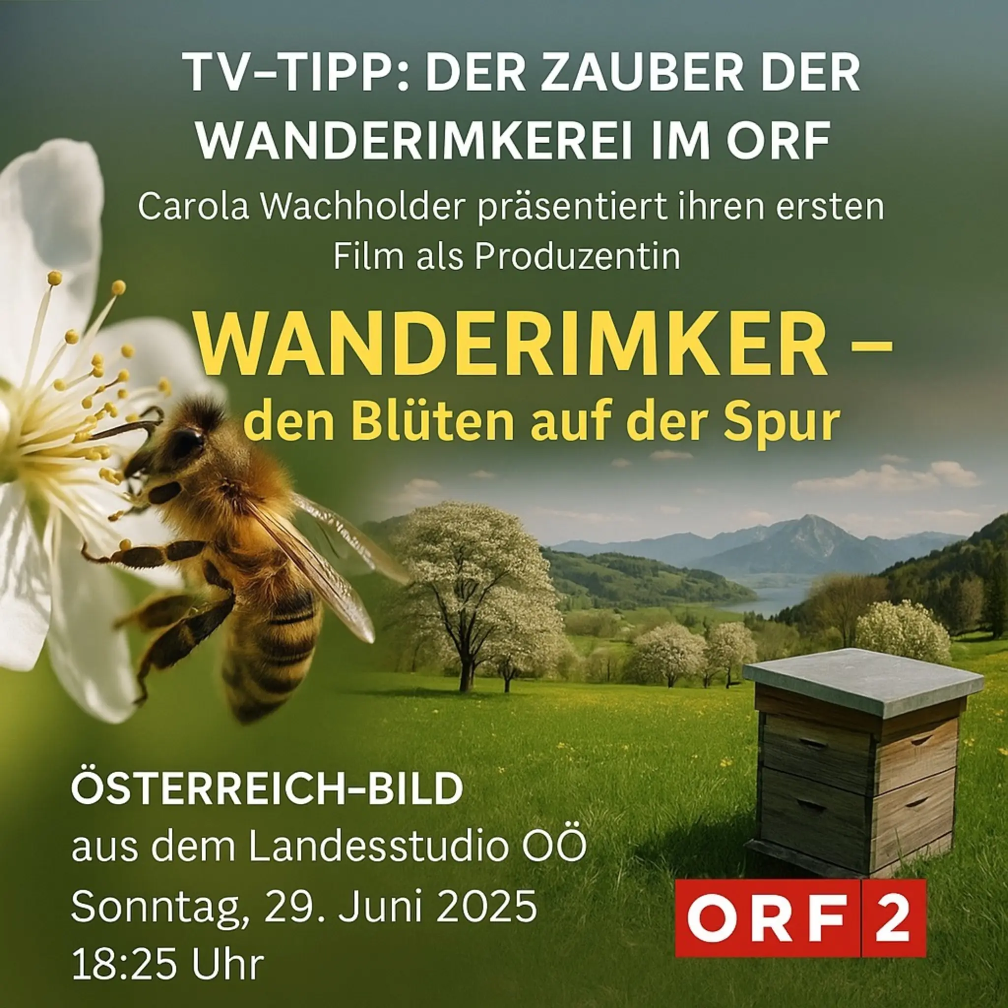 Carola Wachholder als Film- Produzentin!: 🐝 TV-TIPP: Der Zauber der ...