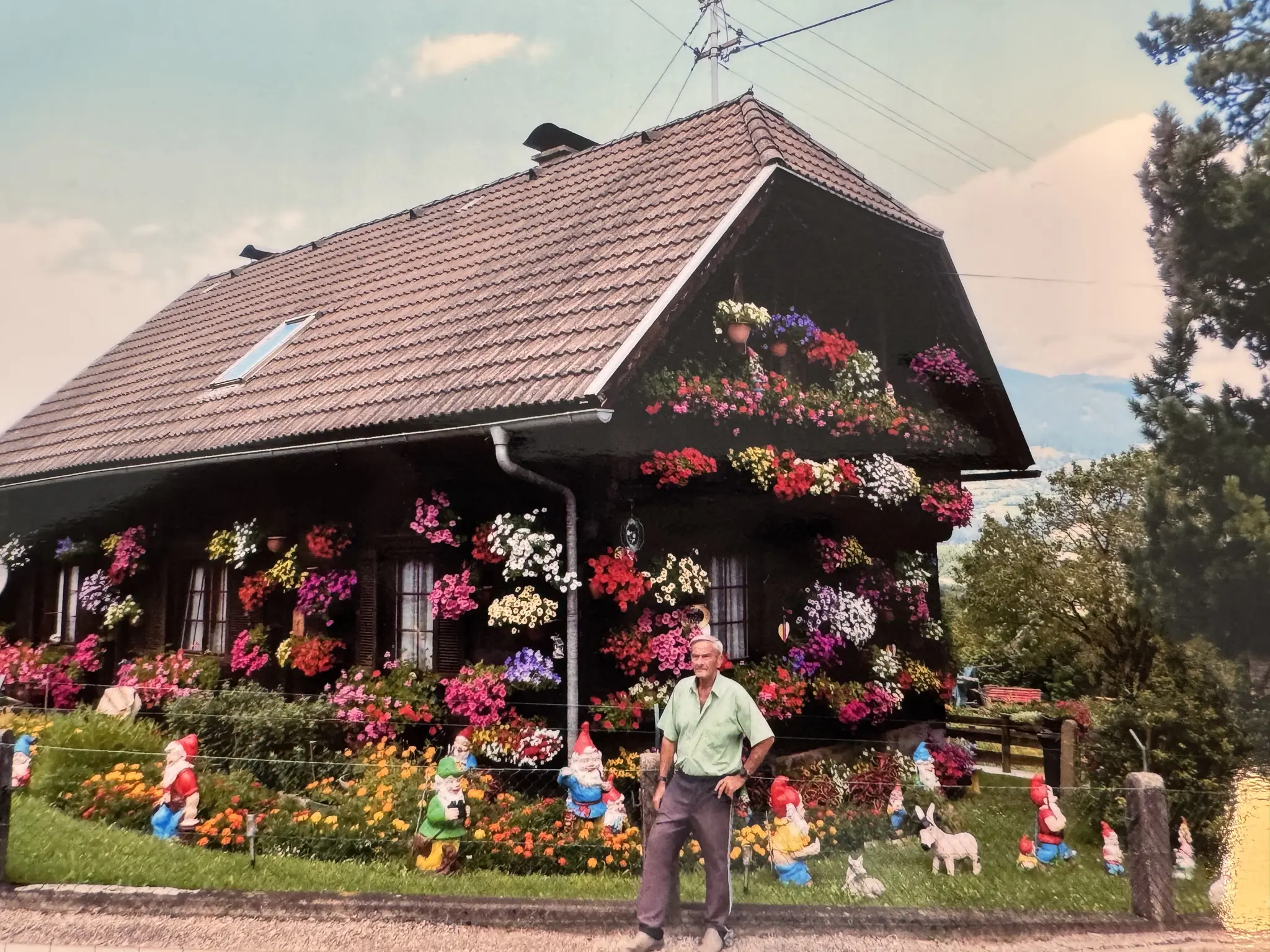 In Baldramsdorf: Der Garten vom Blumenkönig blüht wieder auf - Spittal