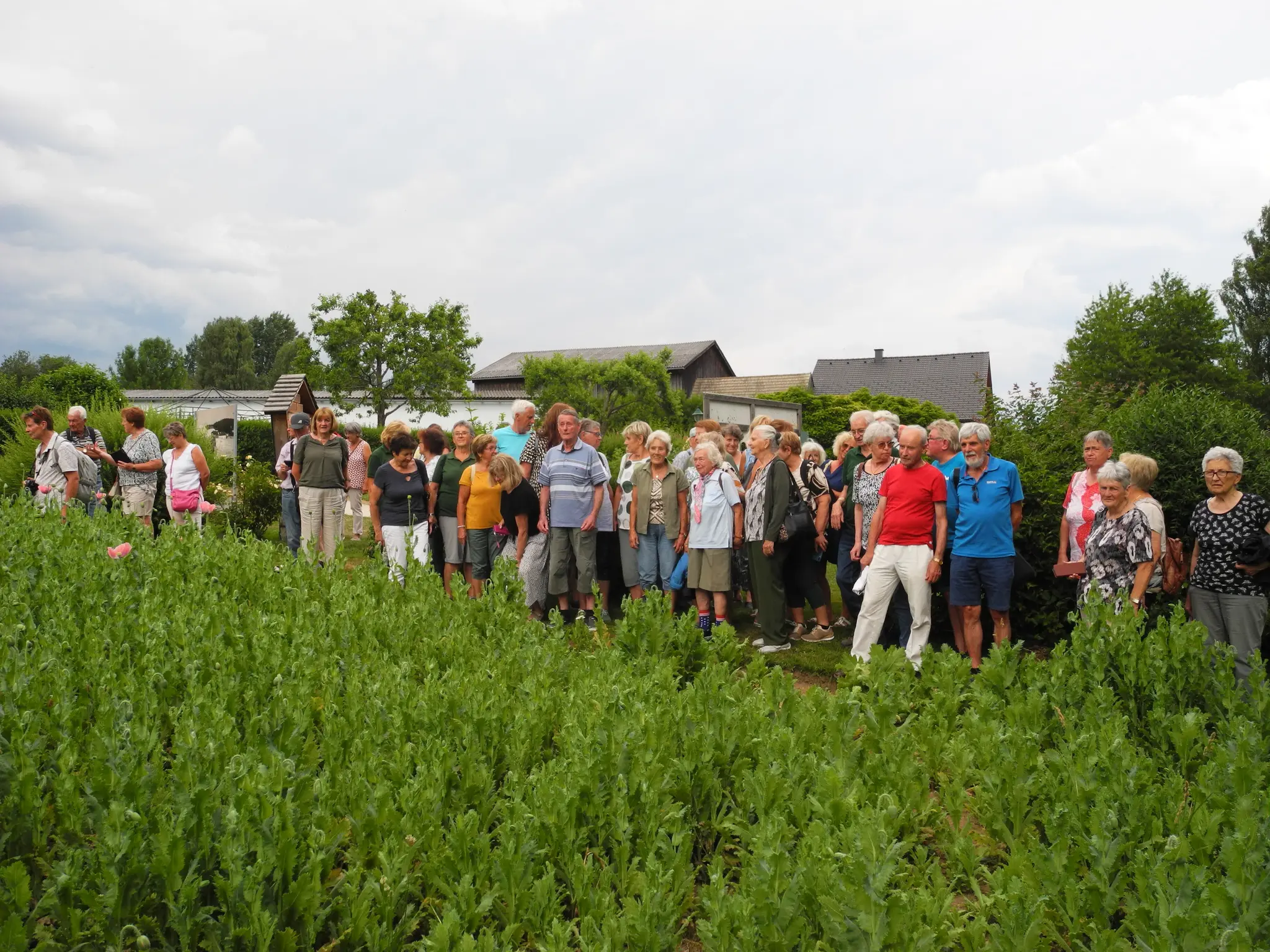Pensionistenverein Albersdorf-Prebuch: Ein Ausflug ins Waldviertel - Weiz