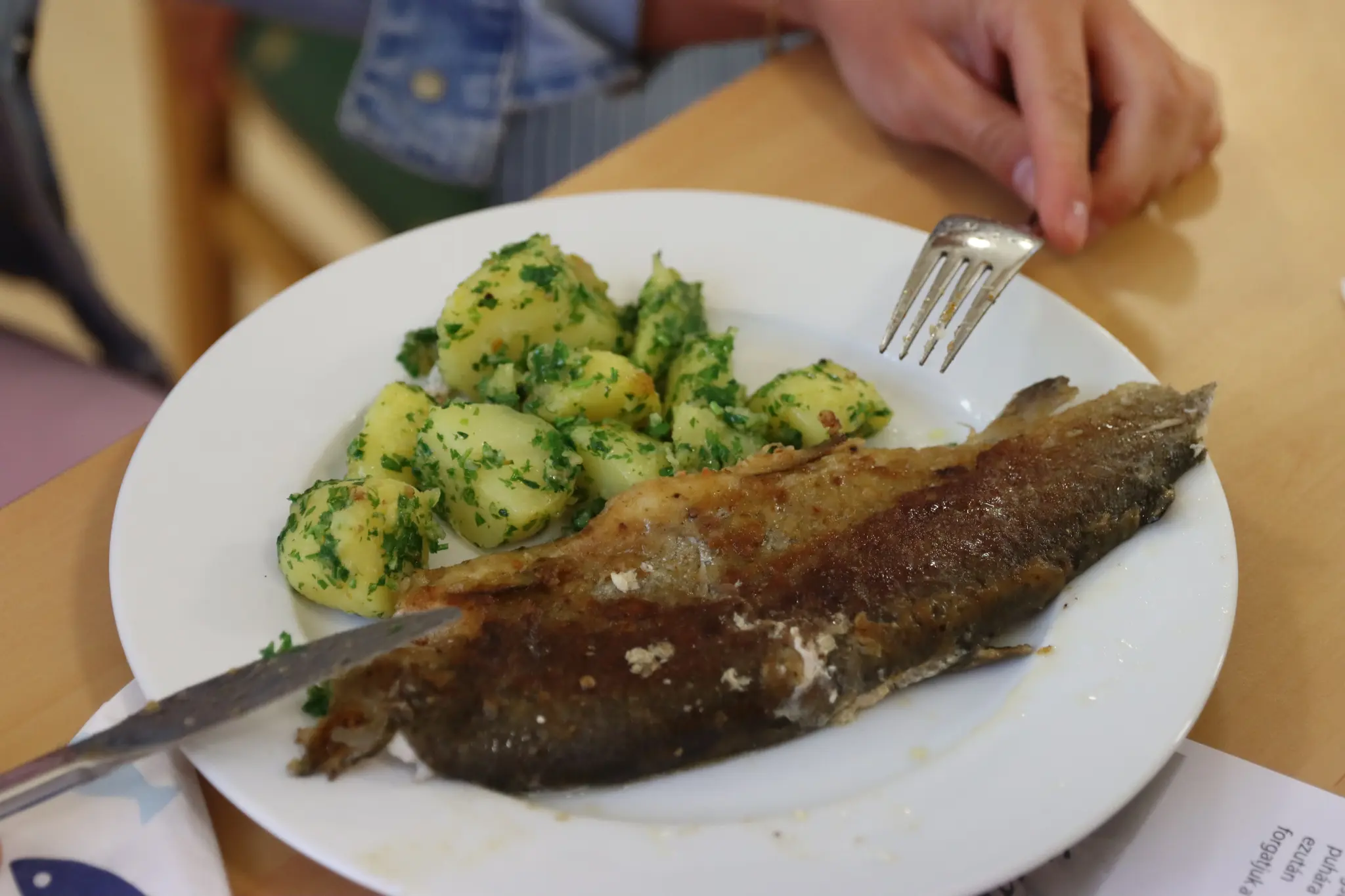 Knusprige Forelle und Fischsuppe: Fischvariationen in der Pannonischen ...