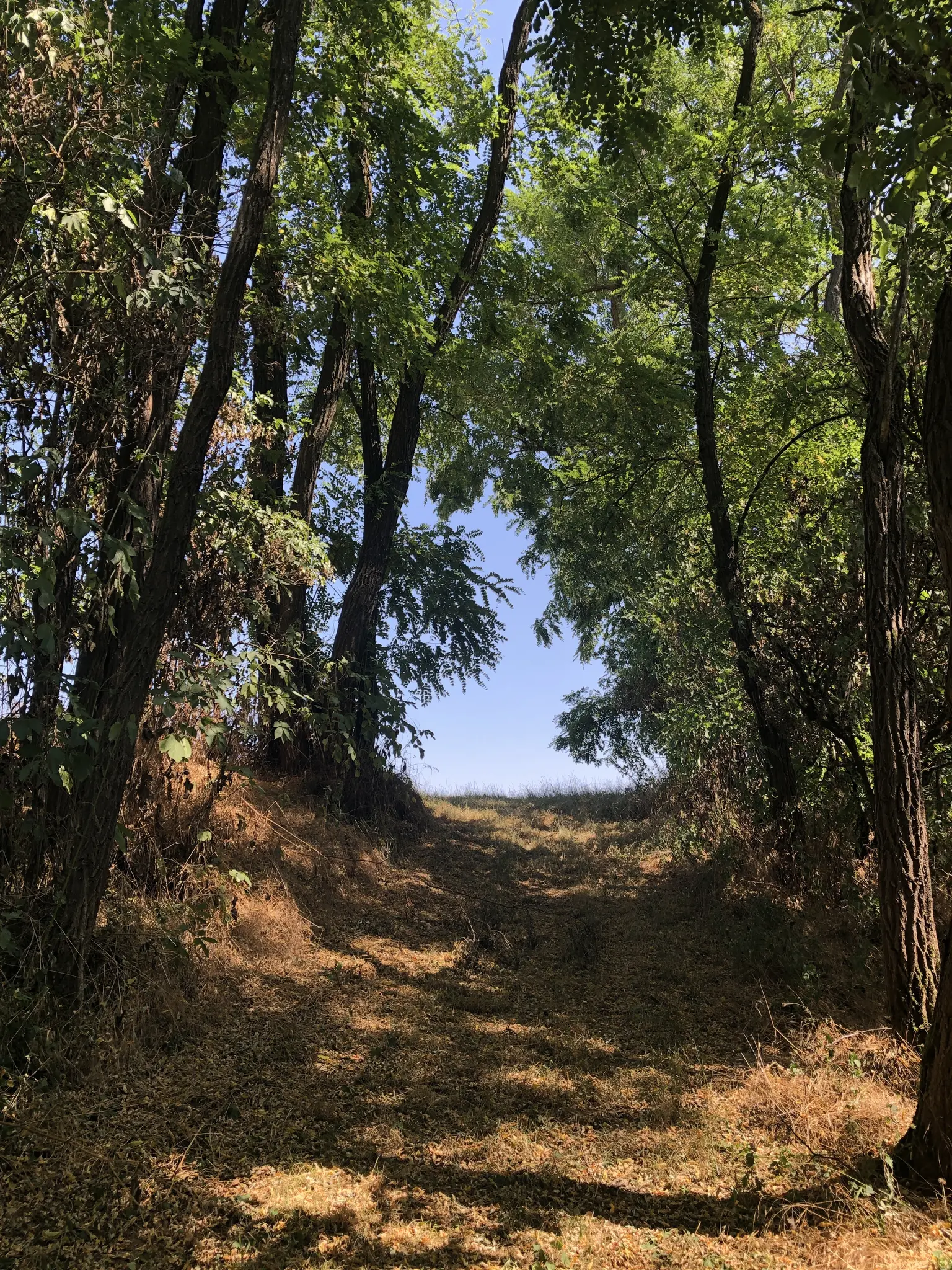 Yaritza lopez xx so hotter than the profiles, shape built