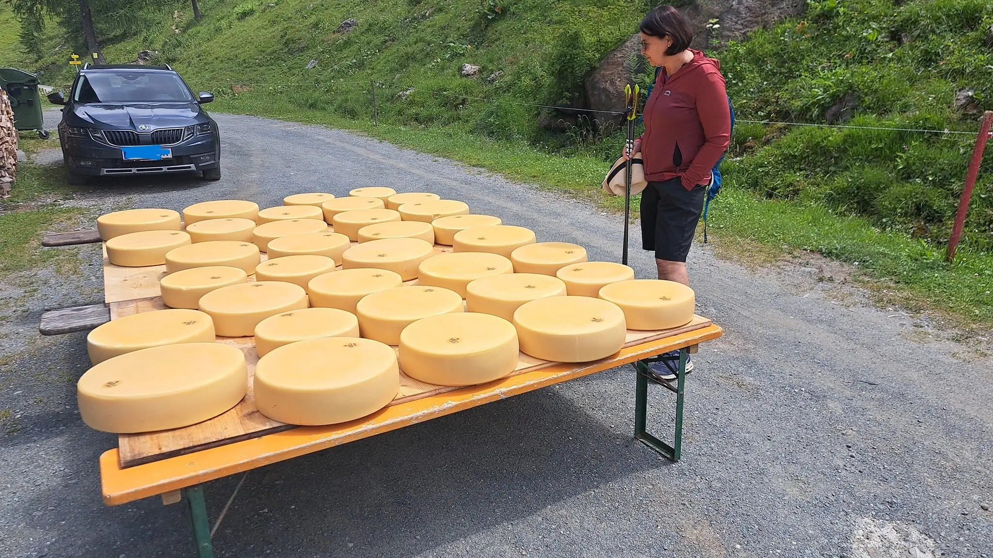 Hüterinnen kultureller Traditionen: Die Almen sind fest in Frauenhand ...