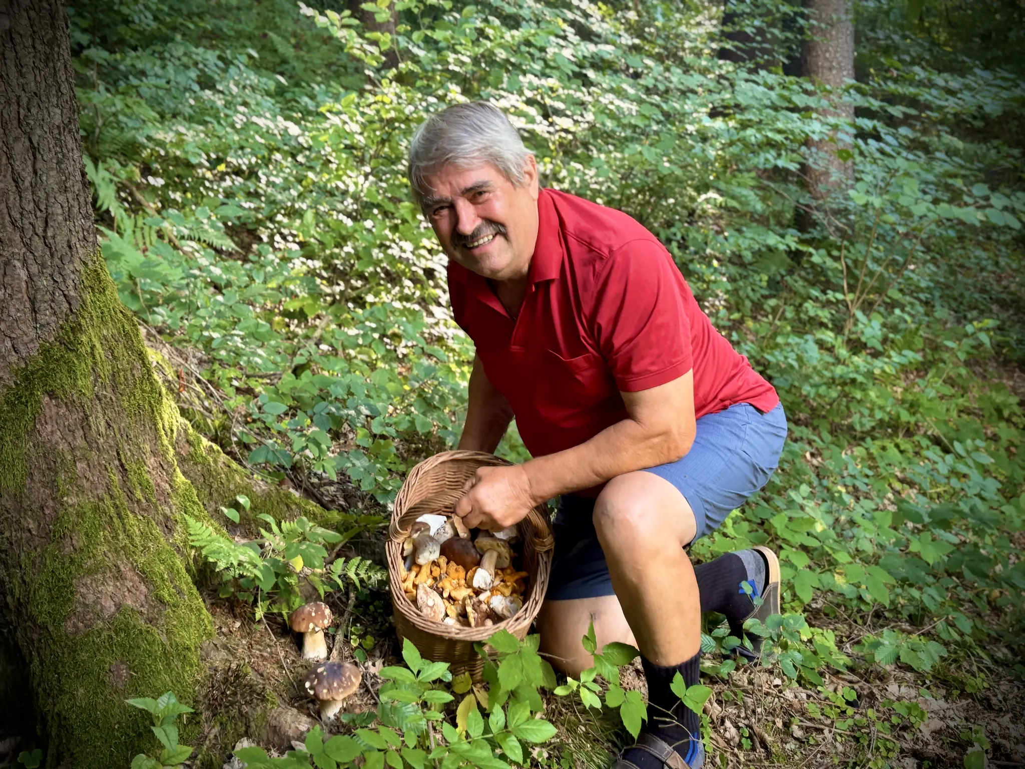 Pilzkenner: Ein Leben zwischen Wald, Witz und der Freude am Entdecken - Südoststeiermark