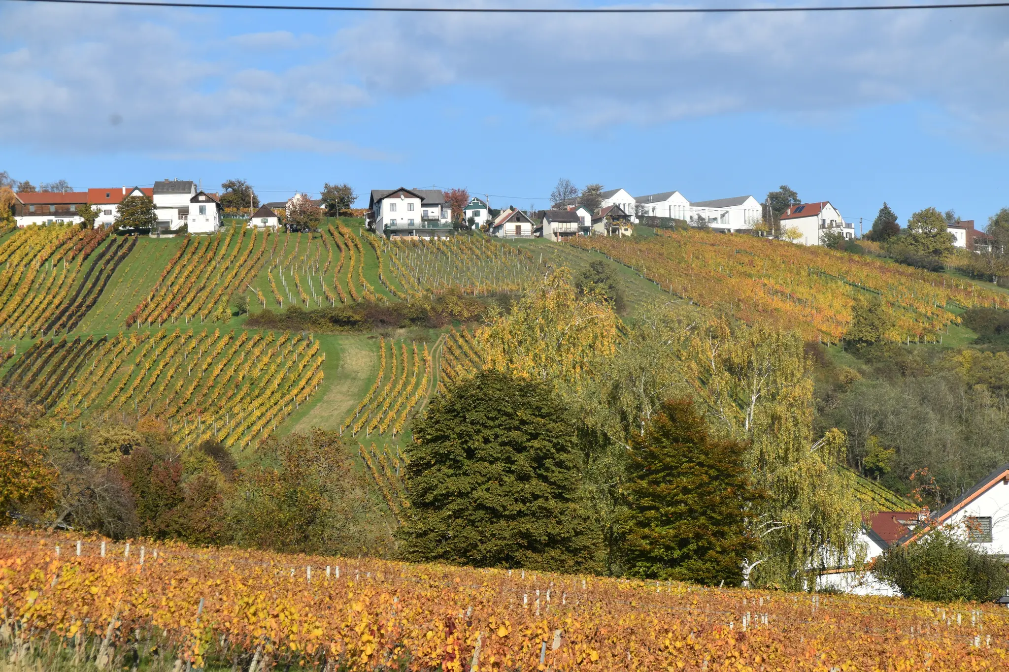 Wetterausblick Burgenland: Der Sommer kehrt mit Sonne ins Land zurück ...