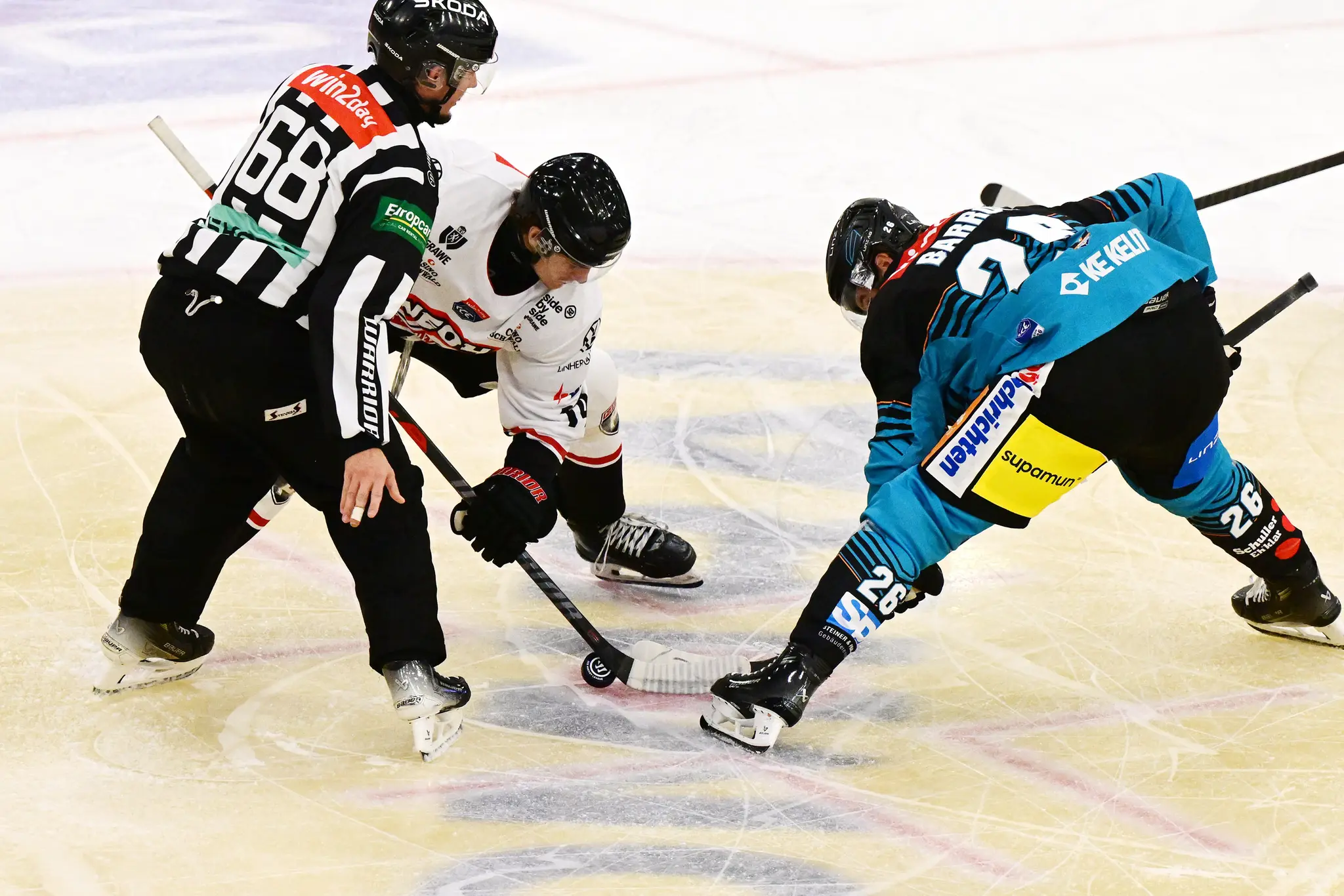 Kultduell in der Eisarena: Black Wings Linz empfangen den Villacher SV ...