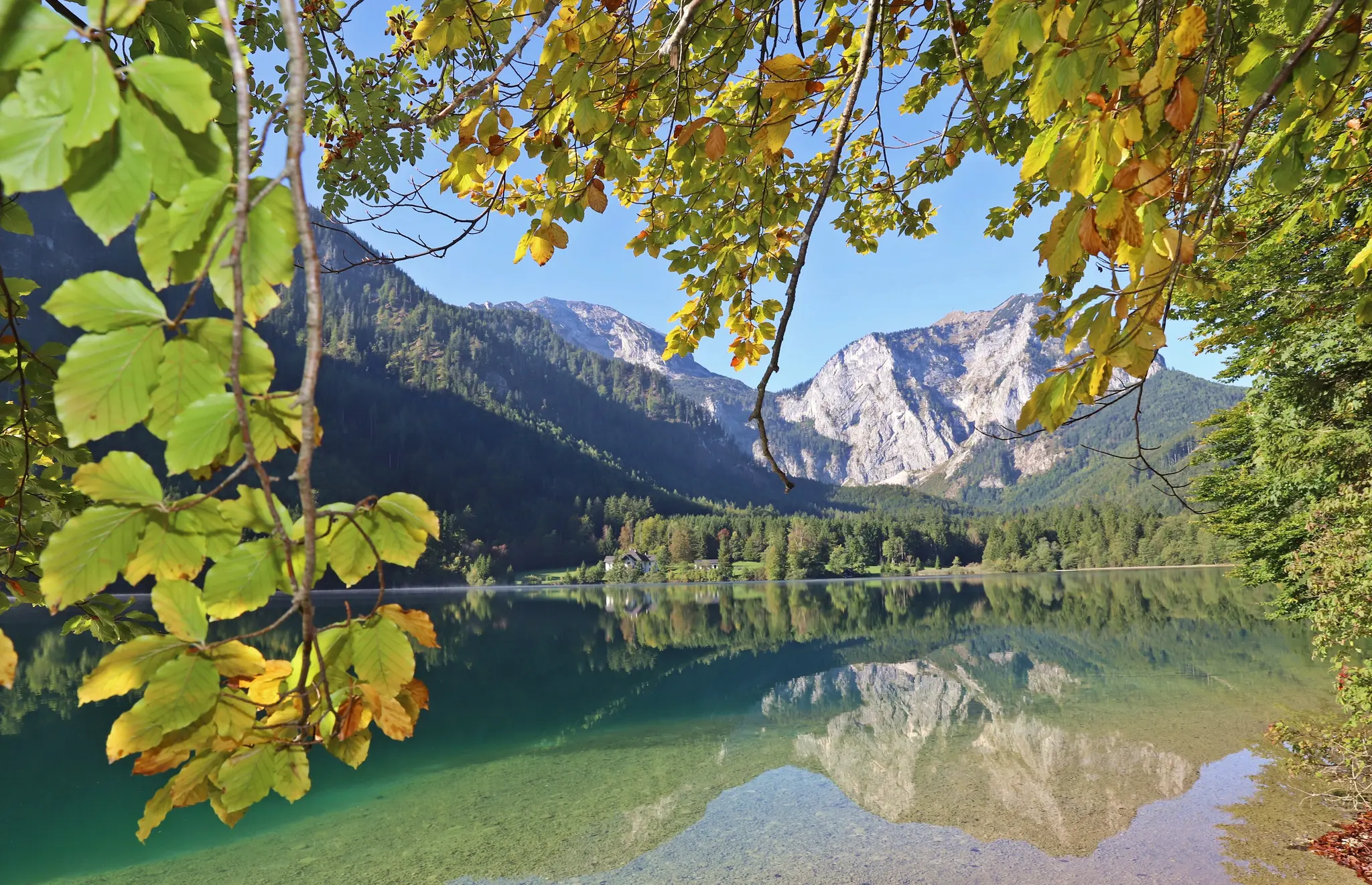 Wunderschone Fotos