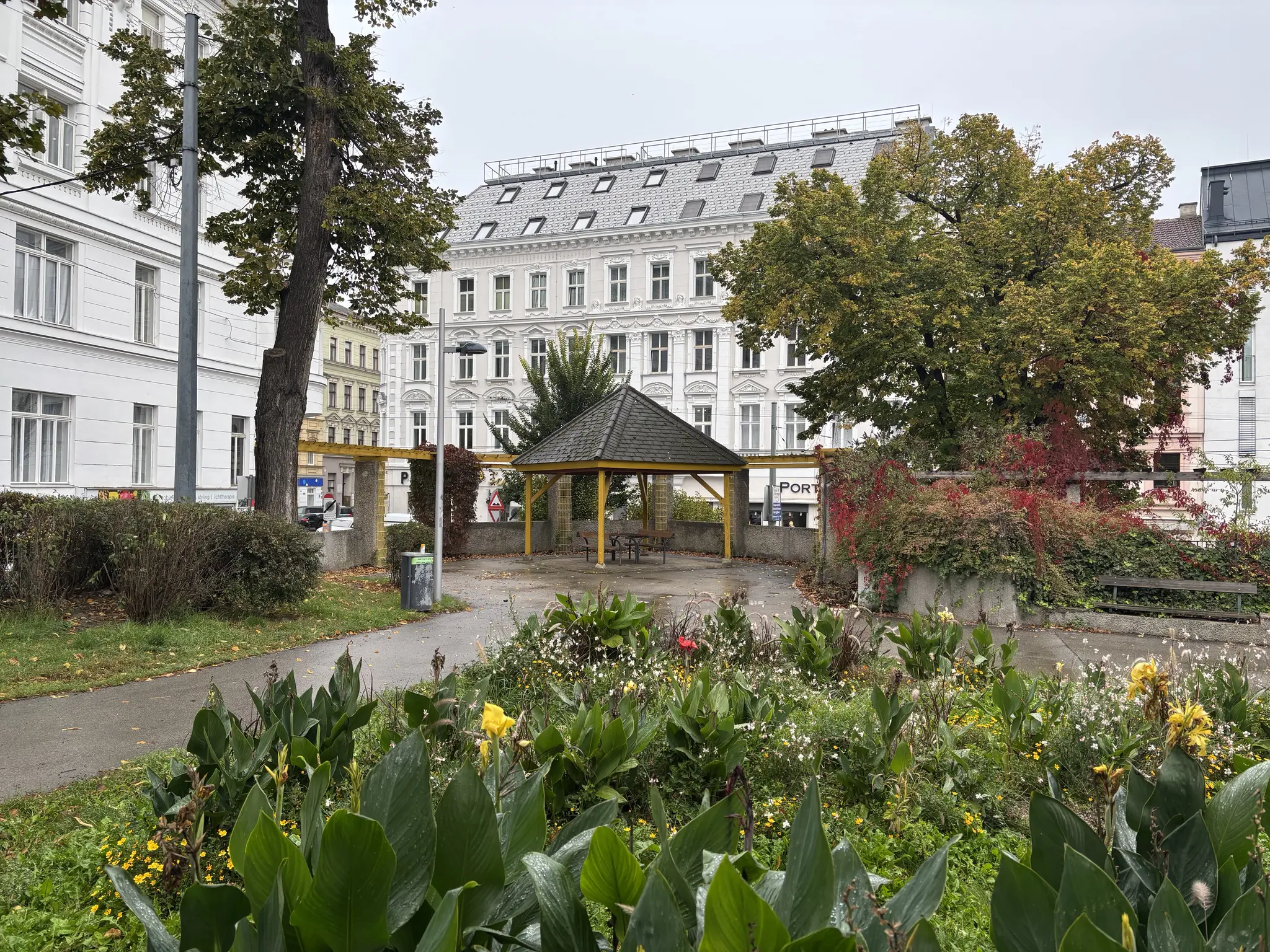 Aus Grau wird Grün: Ein Pavillon im Schubertpark erstrahlt in neuem ...