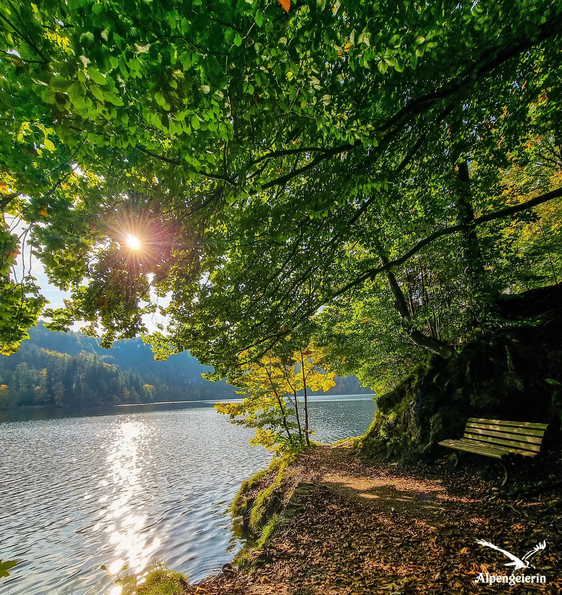 Der mystische Hechtsee:: Warum Tirols beliebtester Badesee mit einer ...
