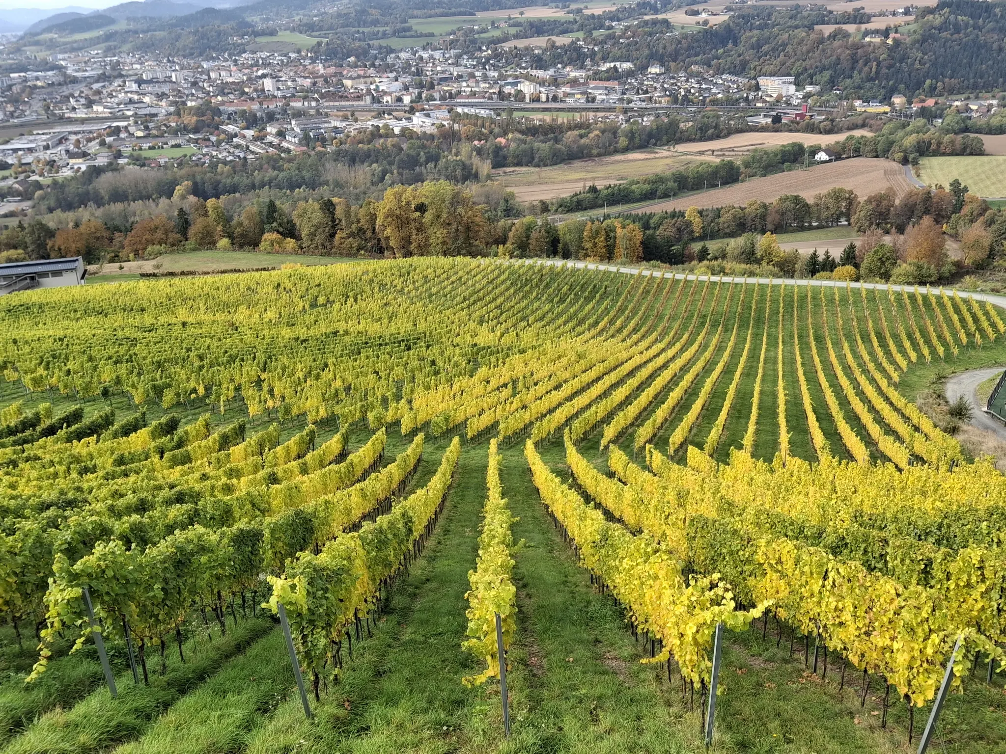 Oktober 2025: Burg Taggenbrunn - St. Veit