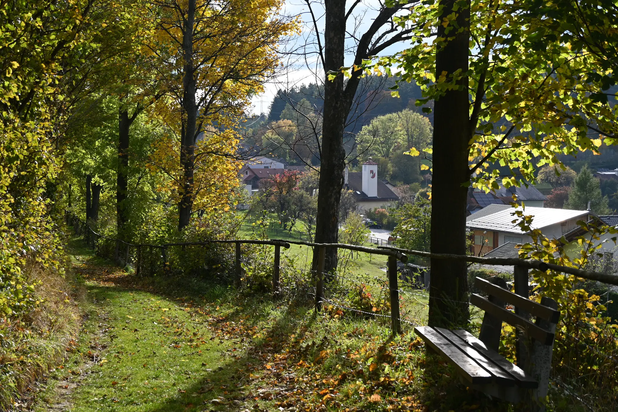 Mein bevorzugtes Wandergebiet: In Raach am Hochgebirge zur großartigen ...