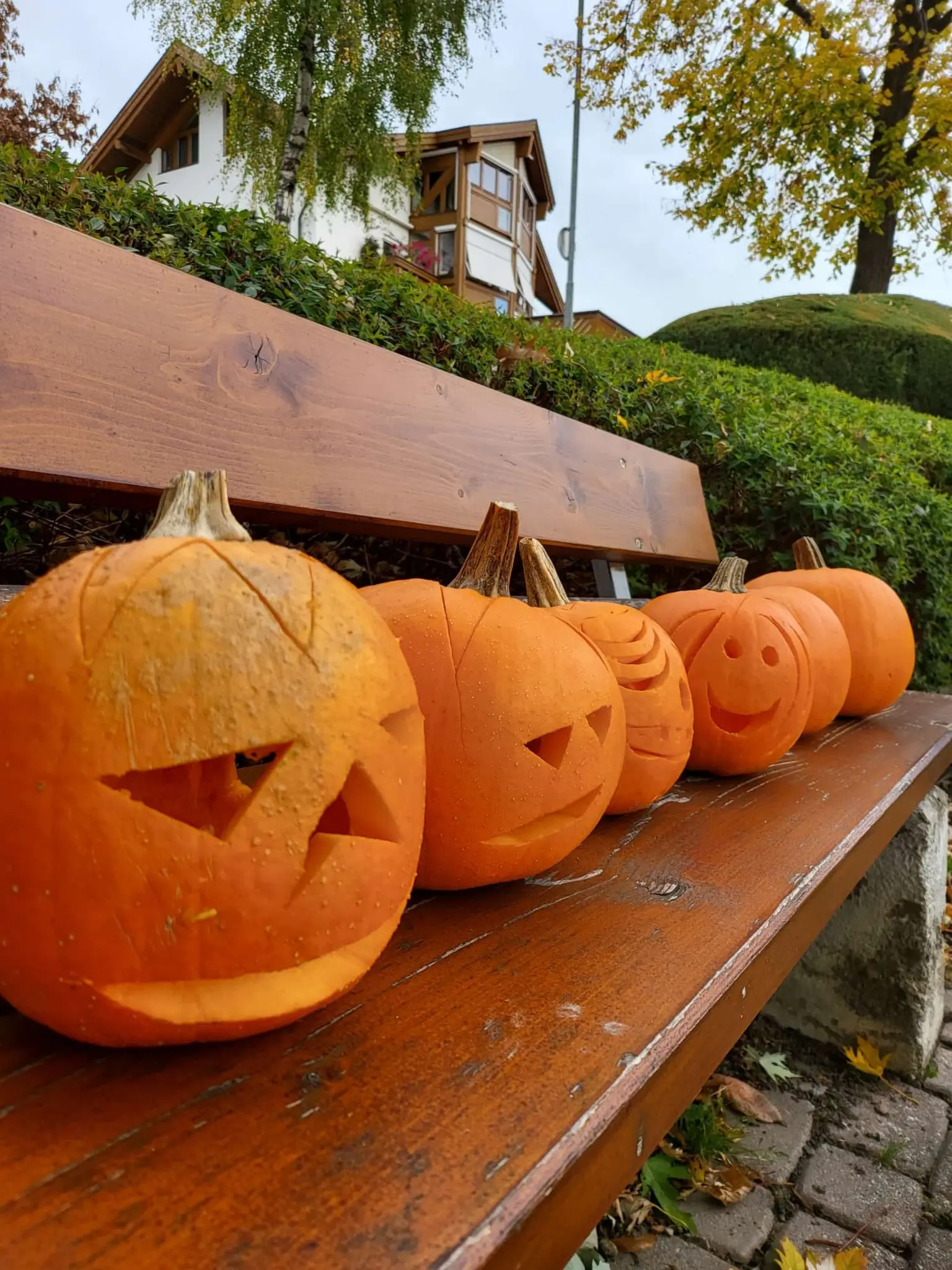 Herbstaktion: Kürbisschnitzaktion begeistert zahlreiche Kinder in Rum ...