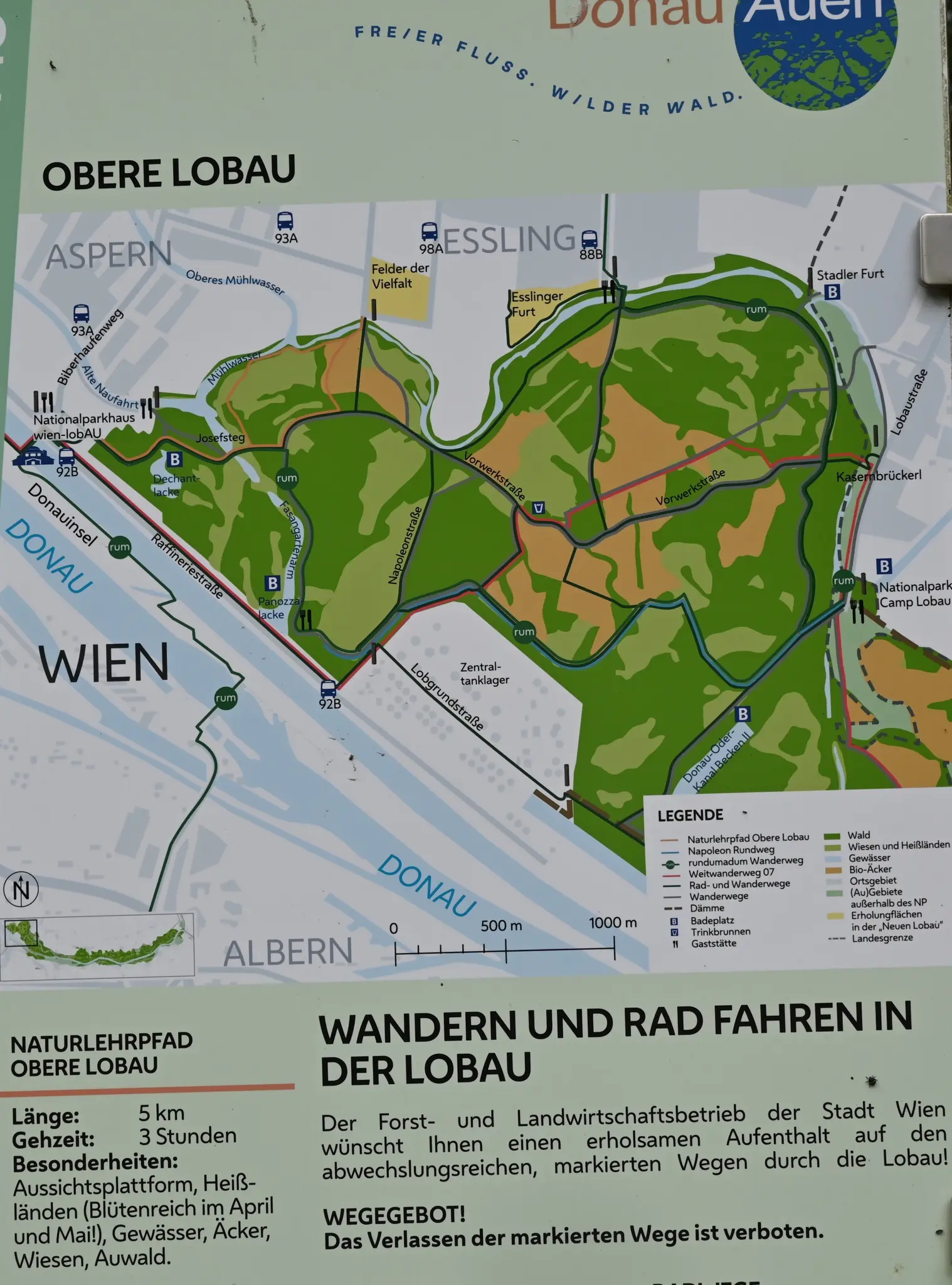 NP Donauauen, Lobau: Wanderung durch die Obere Lobau - Donaustadt