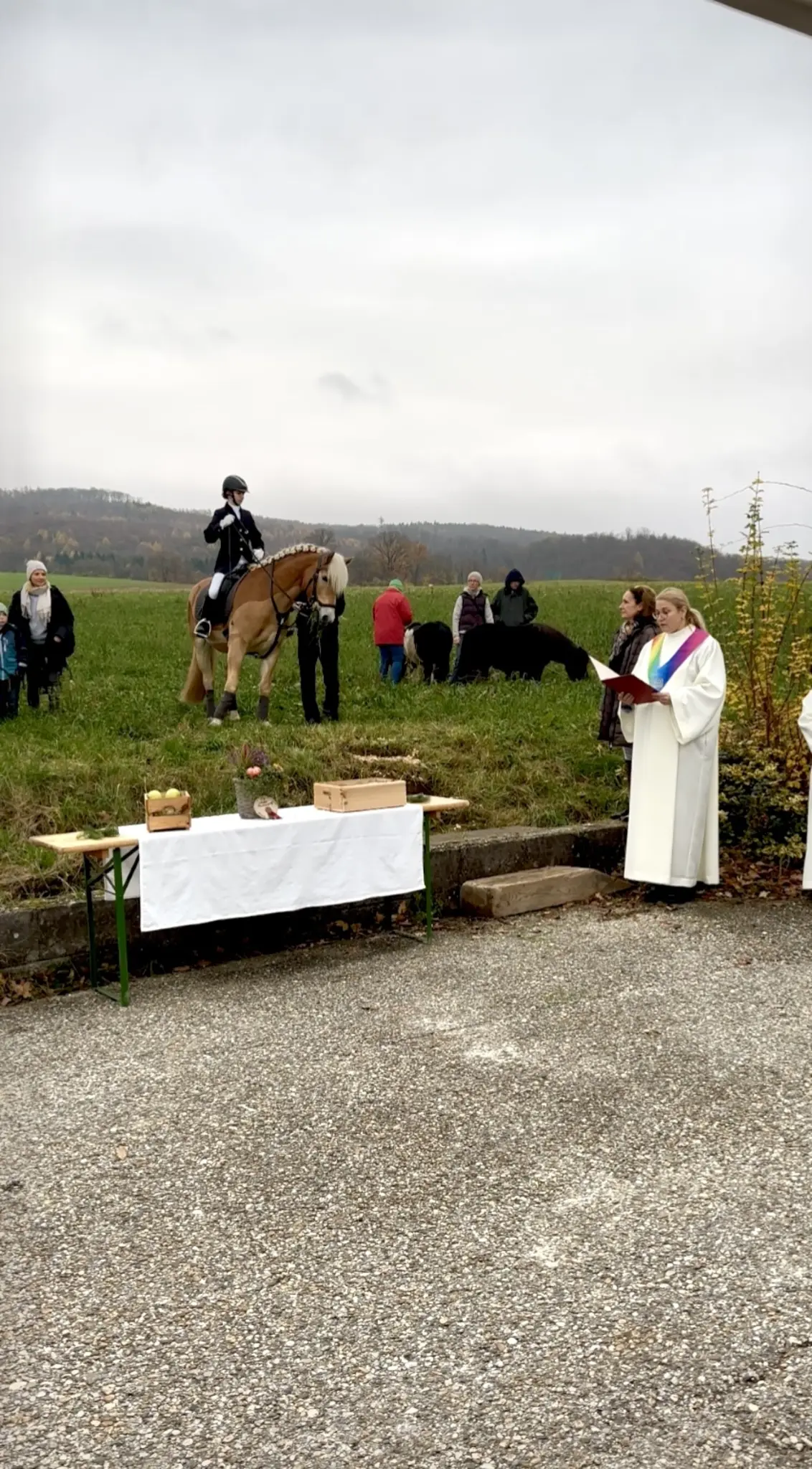Premiere in Ried: Erste Pferdesegnung begeisterte Reiter und Besucher ...