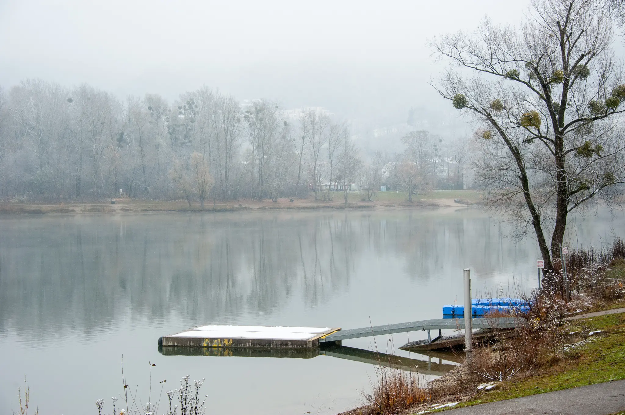 Winterstille am Pleschinger See: Die ersten Schneeflocken verwandeln ...