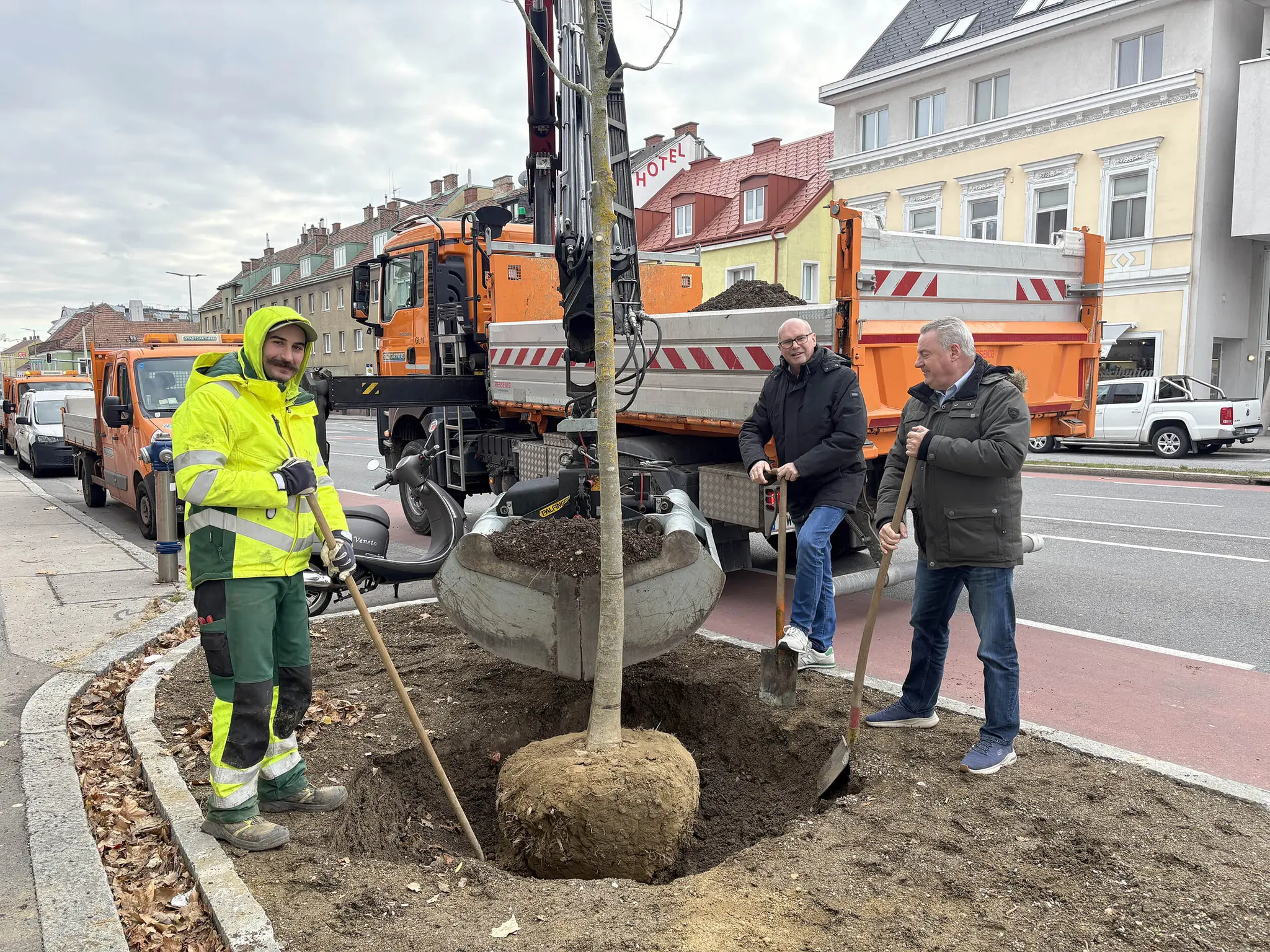 Im Bezirk Schwechat: Grünraum-Offensive mit neuen Baumpflanzungen ...