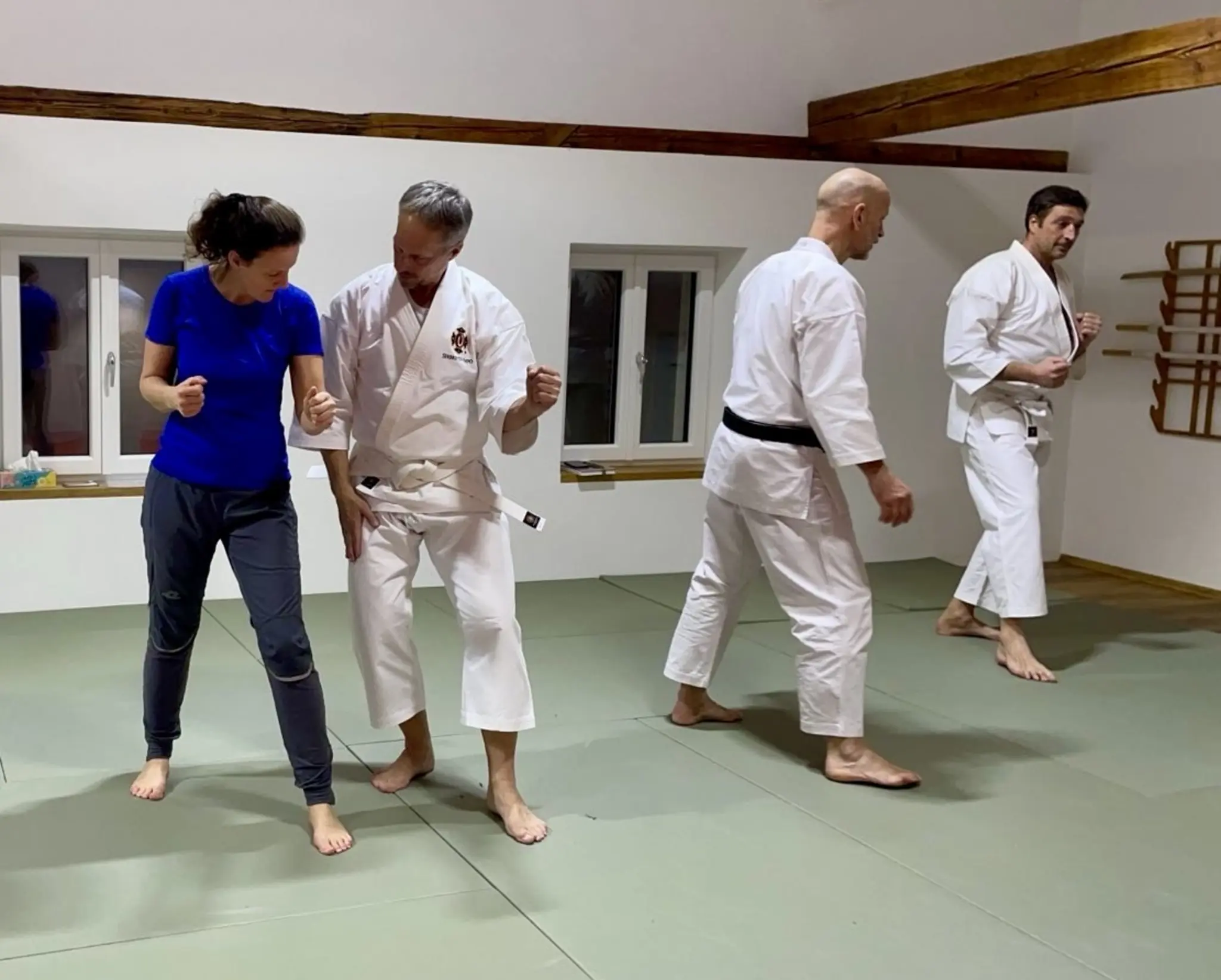 Jiankan Aikido: Haus der Freundschaft - Steyr & Steyr Land