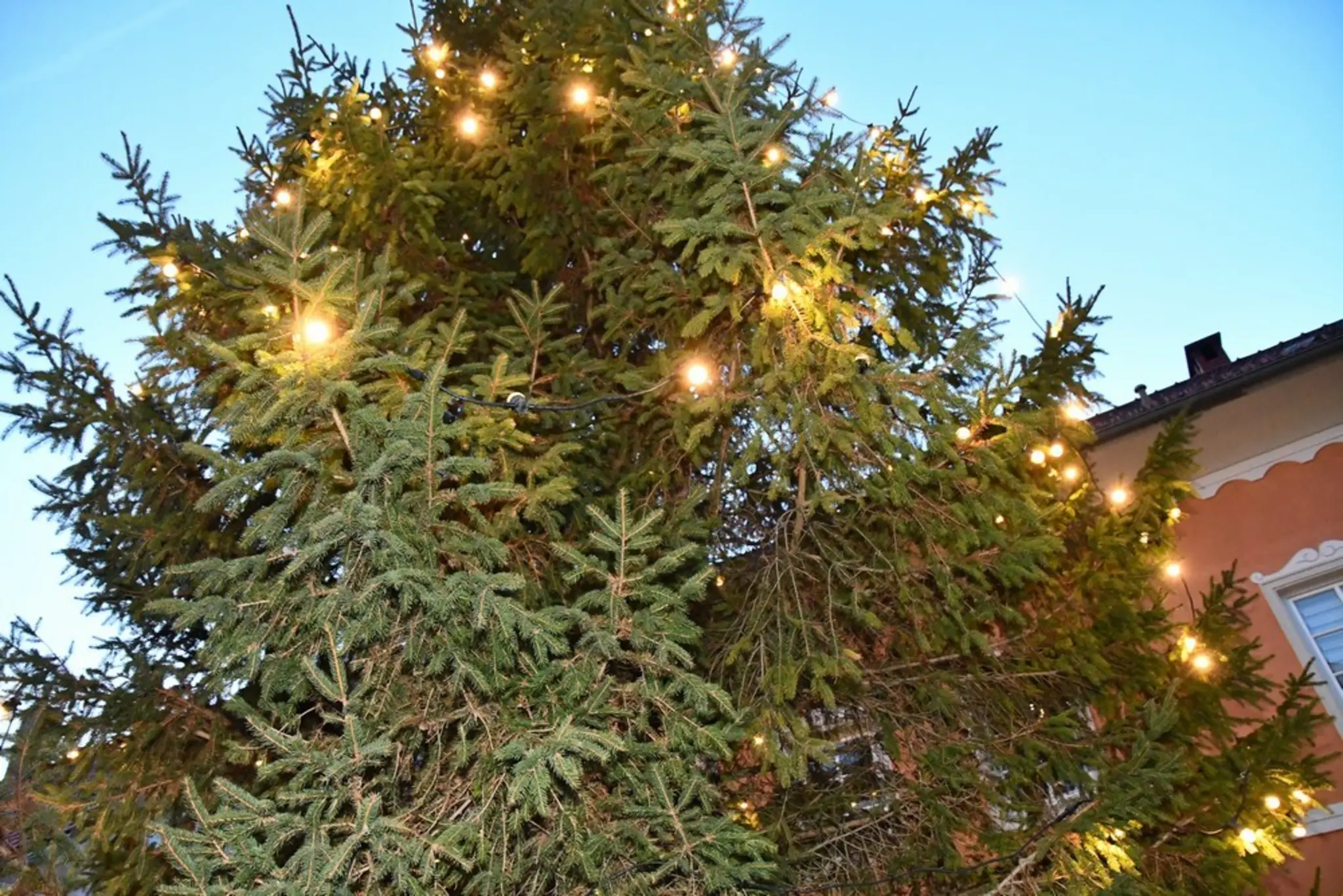 Oberwölz ist in Adventstimmung: Der Christbaum erstrahlt am Hauptplatz ...