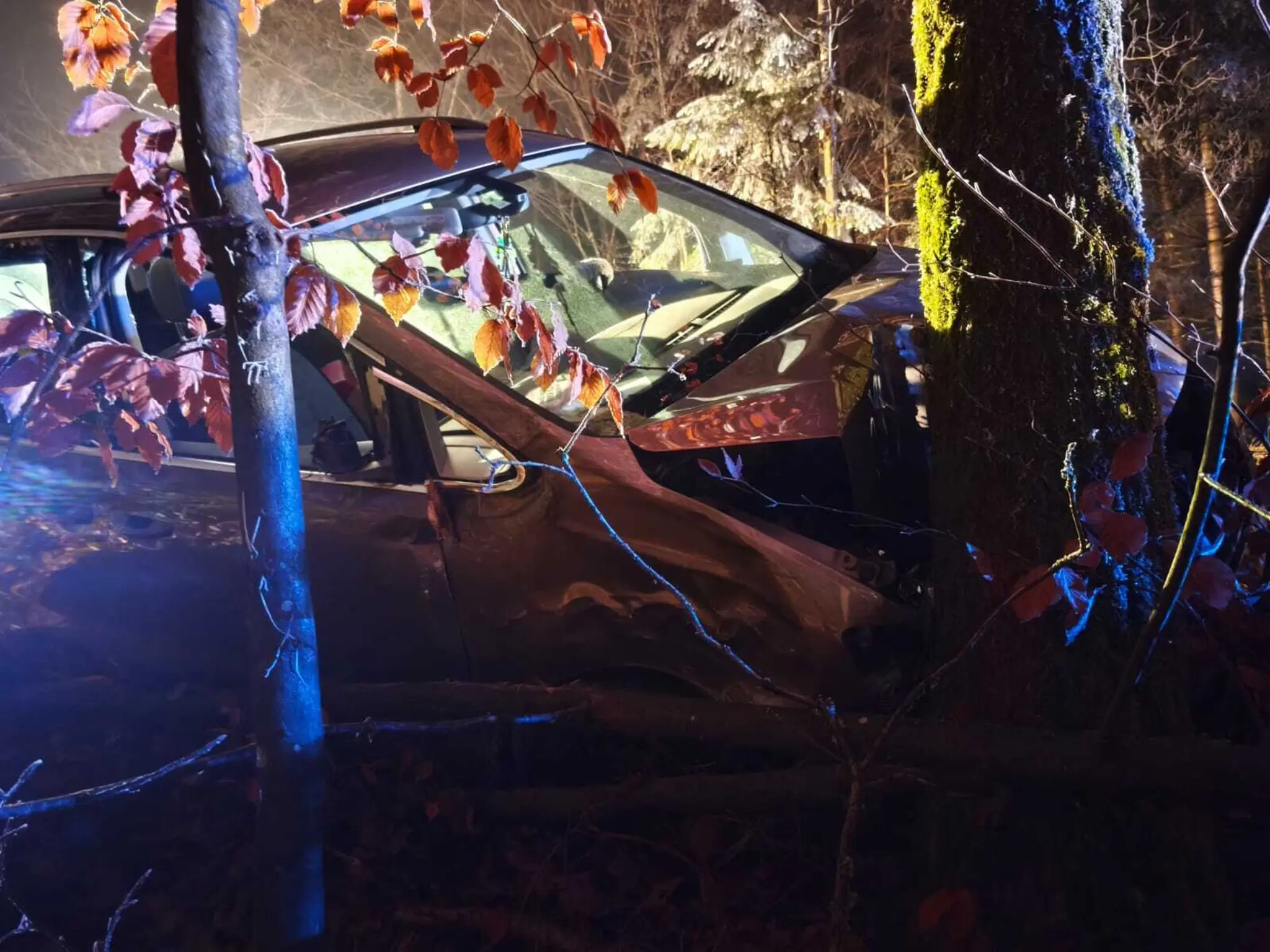 Unfall auf der L509: Auto prallte gegen Baum, zwei Personen verletzt - Ried