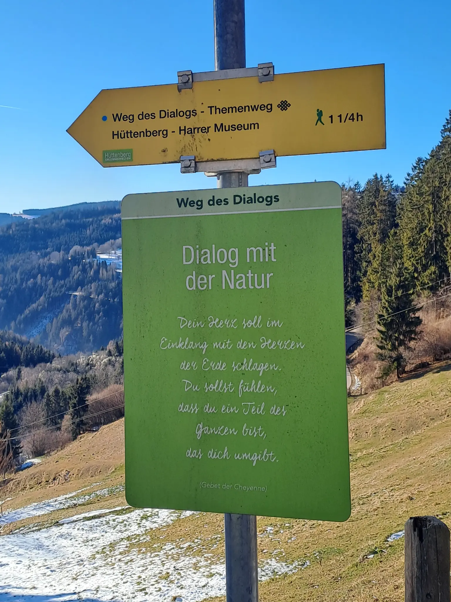 Dezember 2025: Der Sonne entgegen. - St. Veit