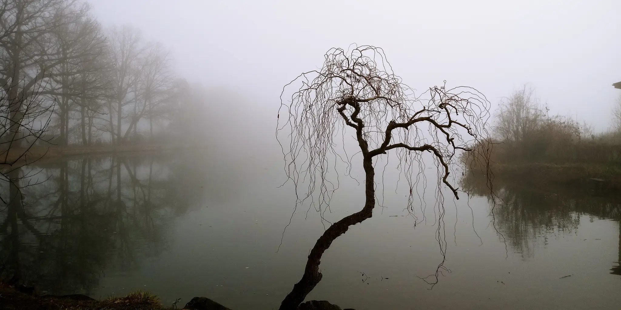 Trüber Tagesbeginn am Freitag in NÖ: Viele Wolken, nur wenige ...