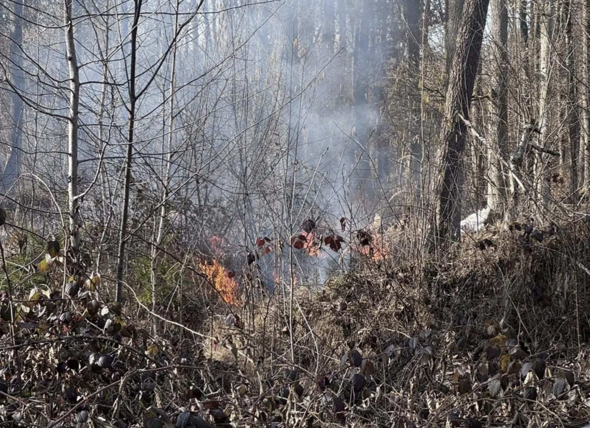 Trockenheit erhöht Brandrisiko: Waldbrandverordnung gilt in ganz ...