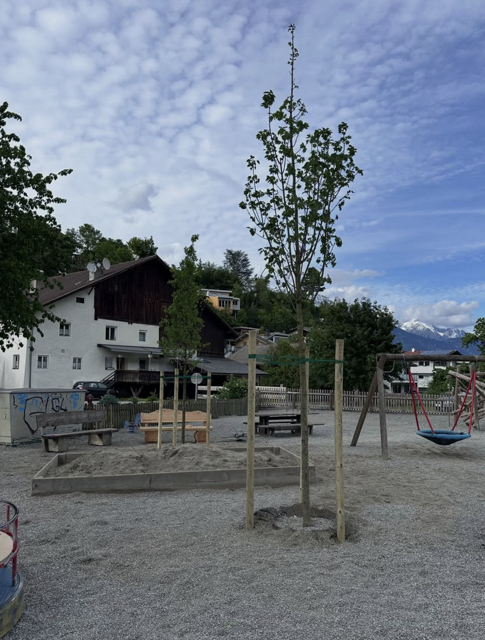 Aufforstung: Spielplatz in Ampass mit neuen Bäumen bestückt - Hall-Rum