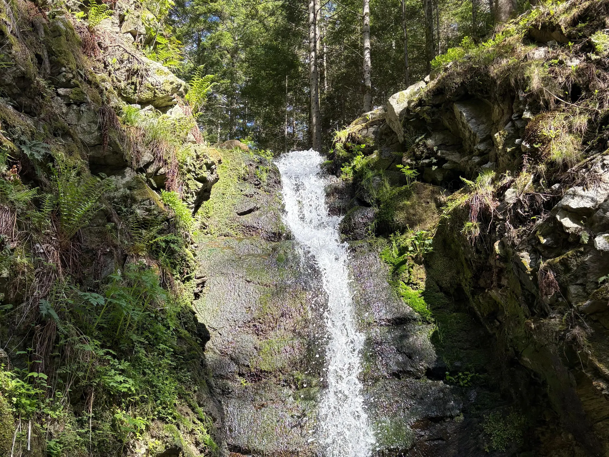 Verborgene Schönheiten: 3 Insider-Tipps im Joglland - Hartberg-Fürstenfeld