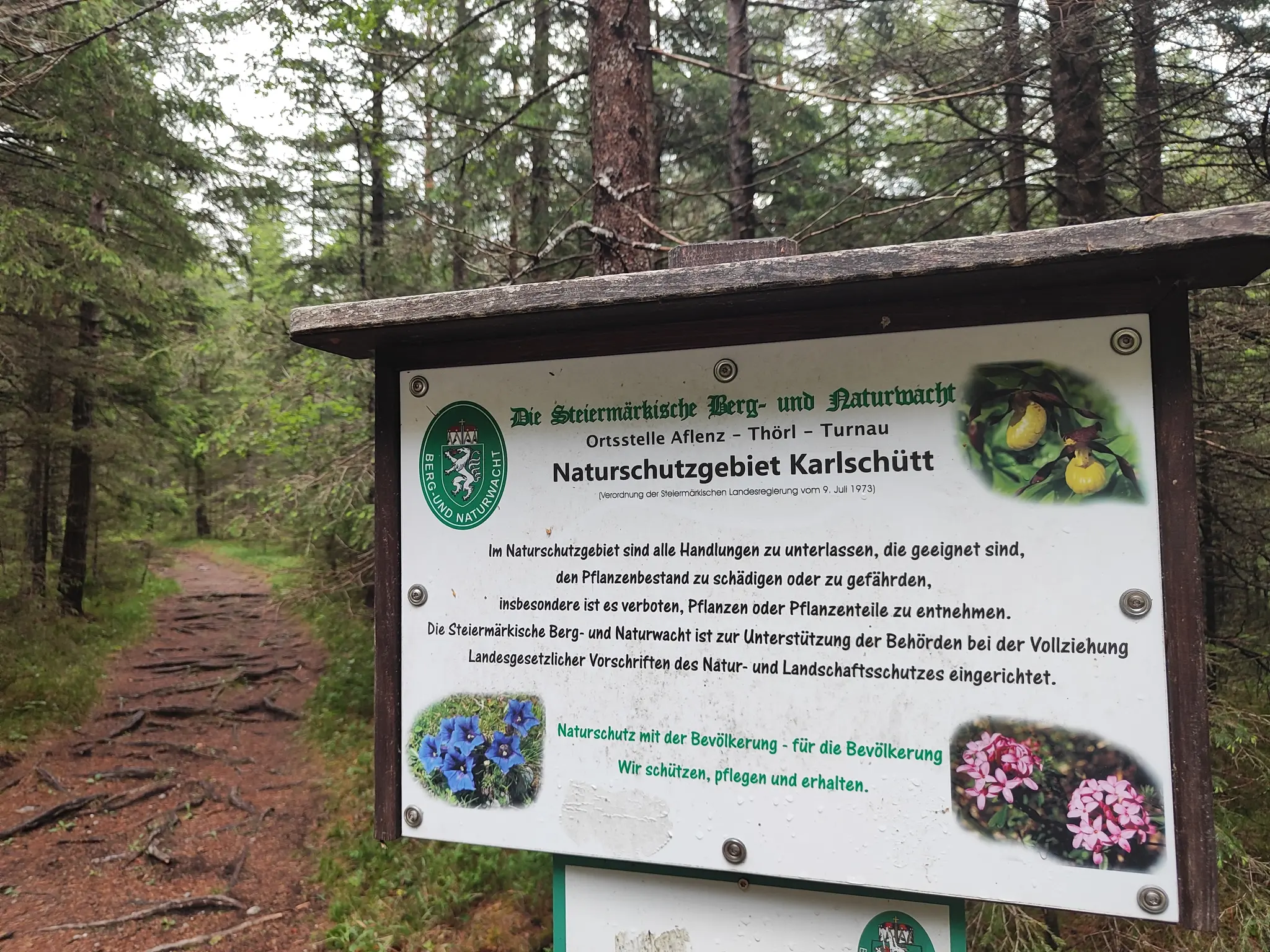 Besonderheit im Hochschwabgebiet: Karlschütt - Naturschutzgebiet und ...