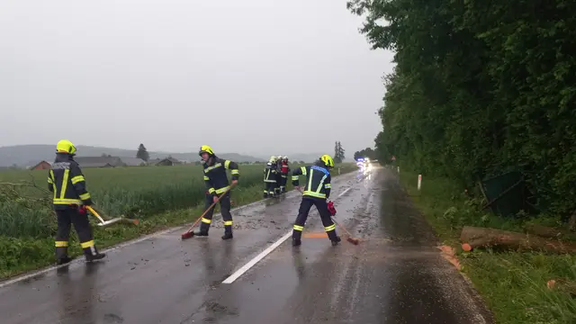 Feuerwehr im Einsatz: Baum samt Jagdsitz stürzte auf Fahrbahn - Steyr ...
