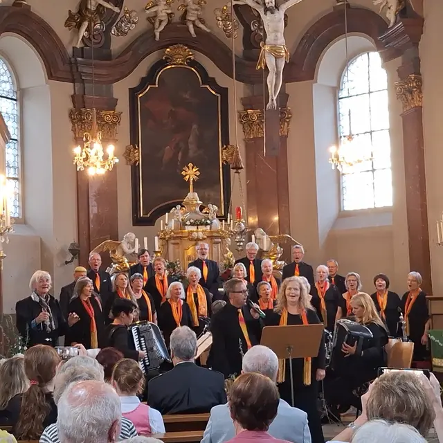 Benefiz: Konzert vom Gesang und Akkordeon in Horn ,Waldviertel,,. - Horn