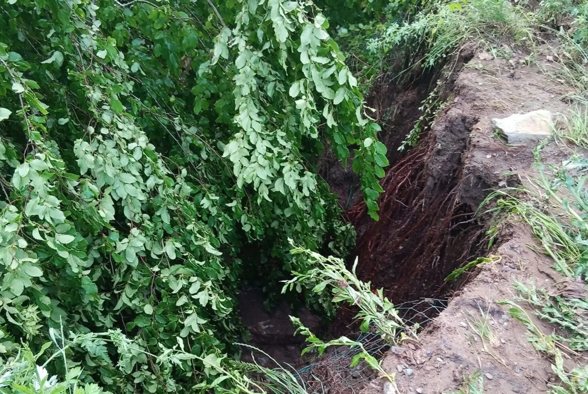 Straßen gesperrt: Mehrere Murenabgänge nach Gewitter mit Starkregen in ...